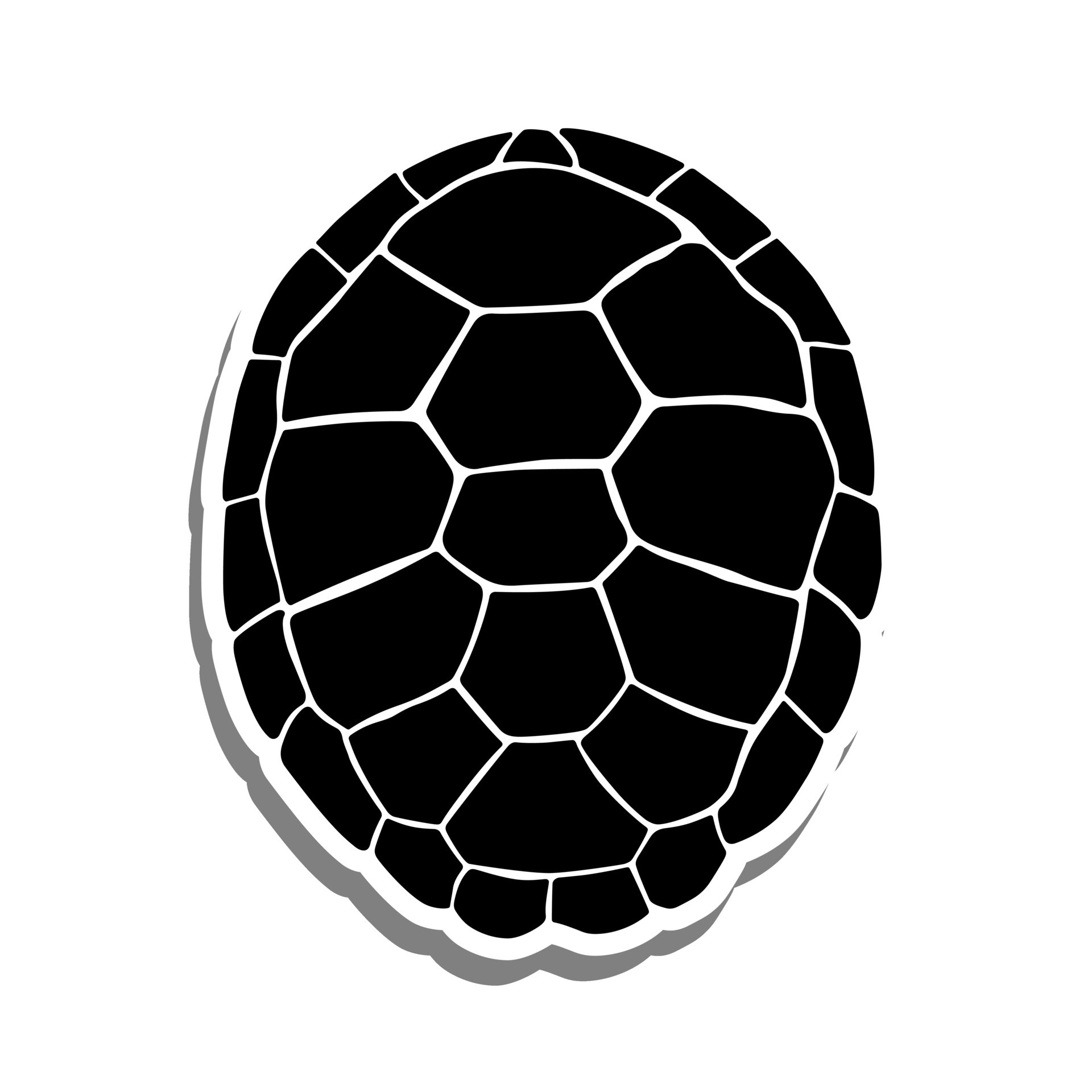 Vector illustration of Turtle Shell Pattern on White Background ...