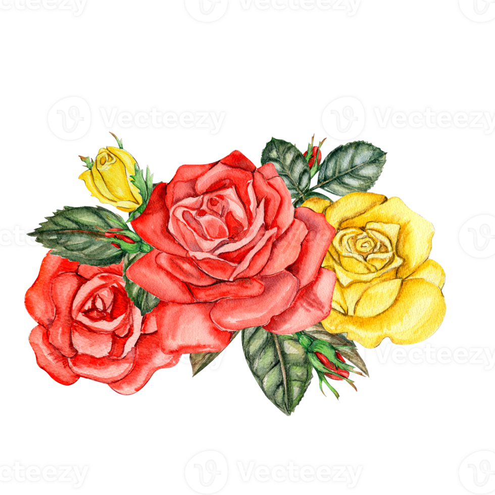 acuarela rosas flores composición. 35147406 PNG