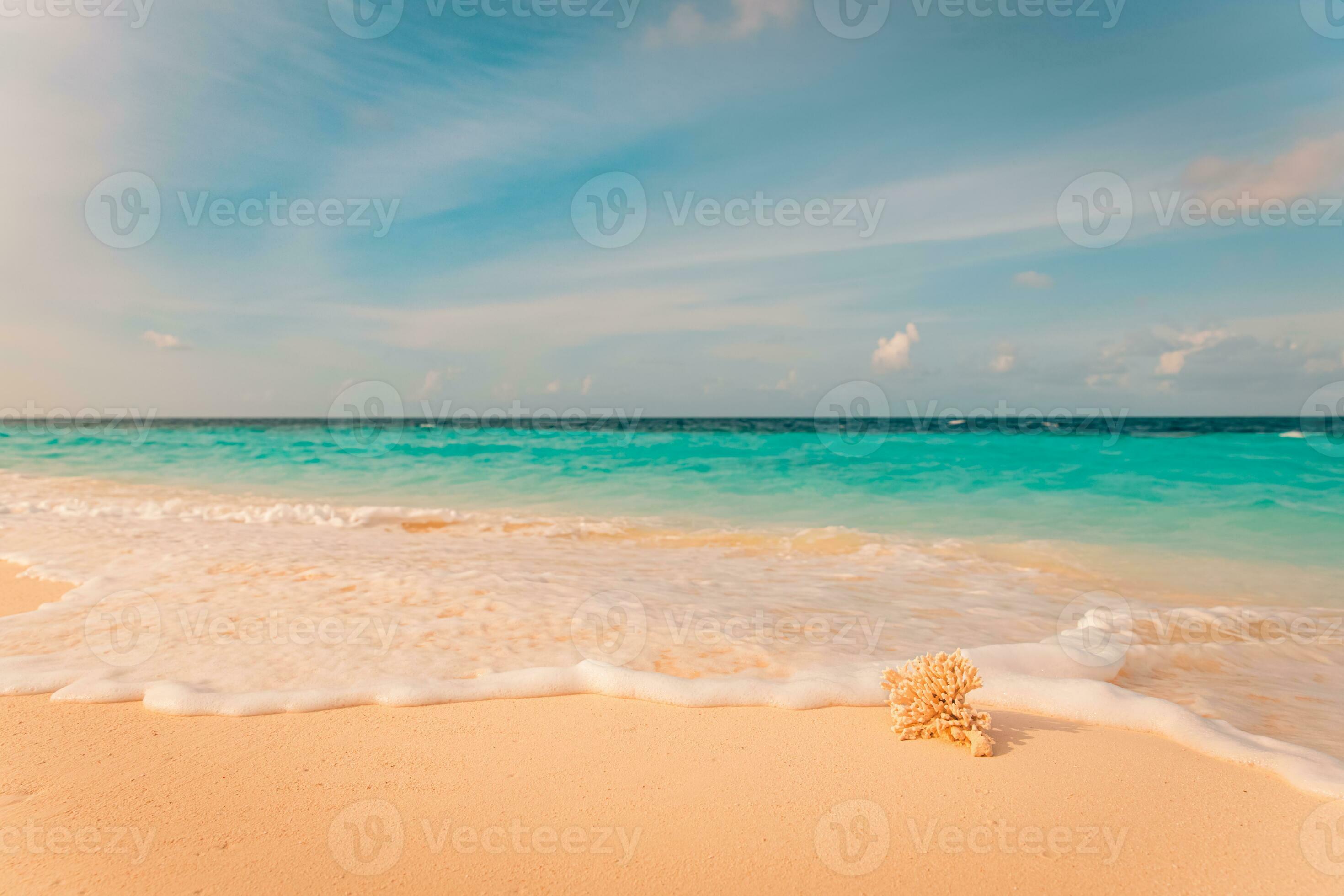 Exotic beach landscape, sea sand sky concept with white coral on the ...