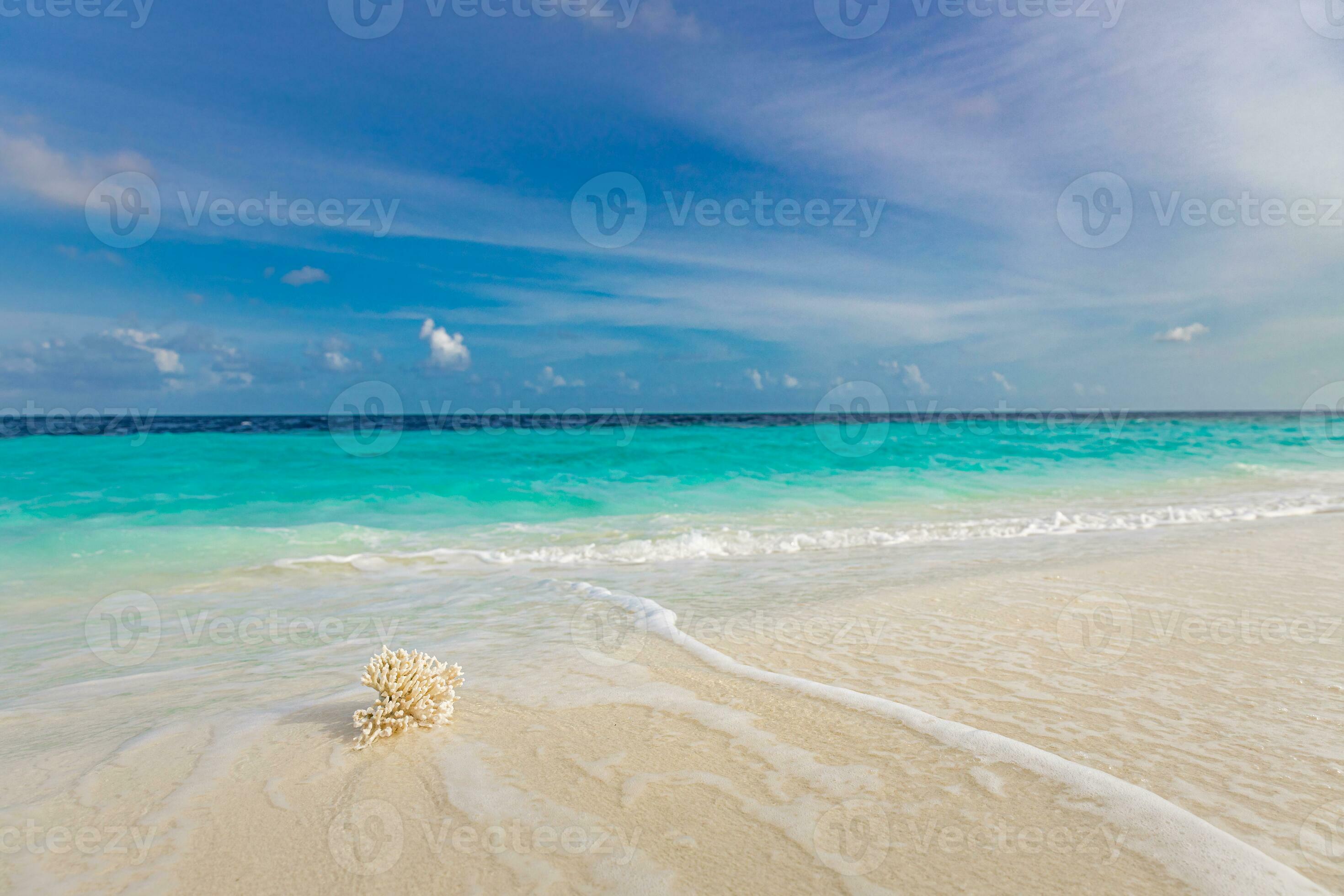 Exotic beach landscape, sea sand sky concept with white coral on the ...