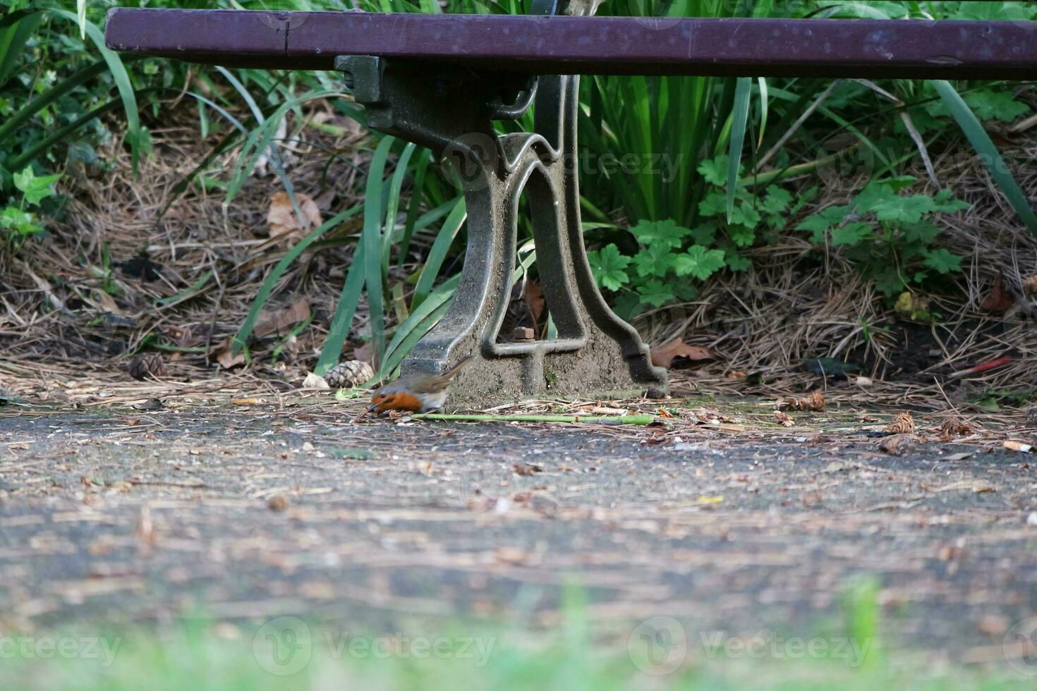 Page 2 | Indifference Stock Photos, Images and Backgrounds for Free ...