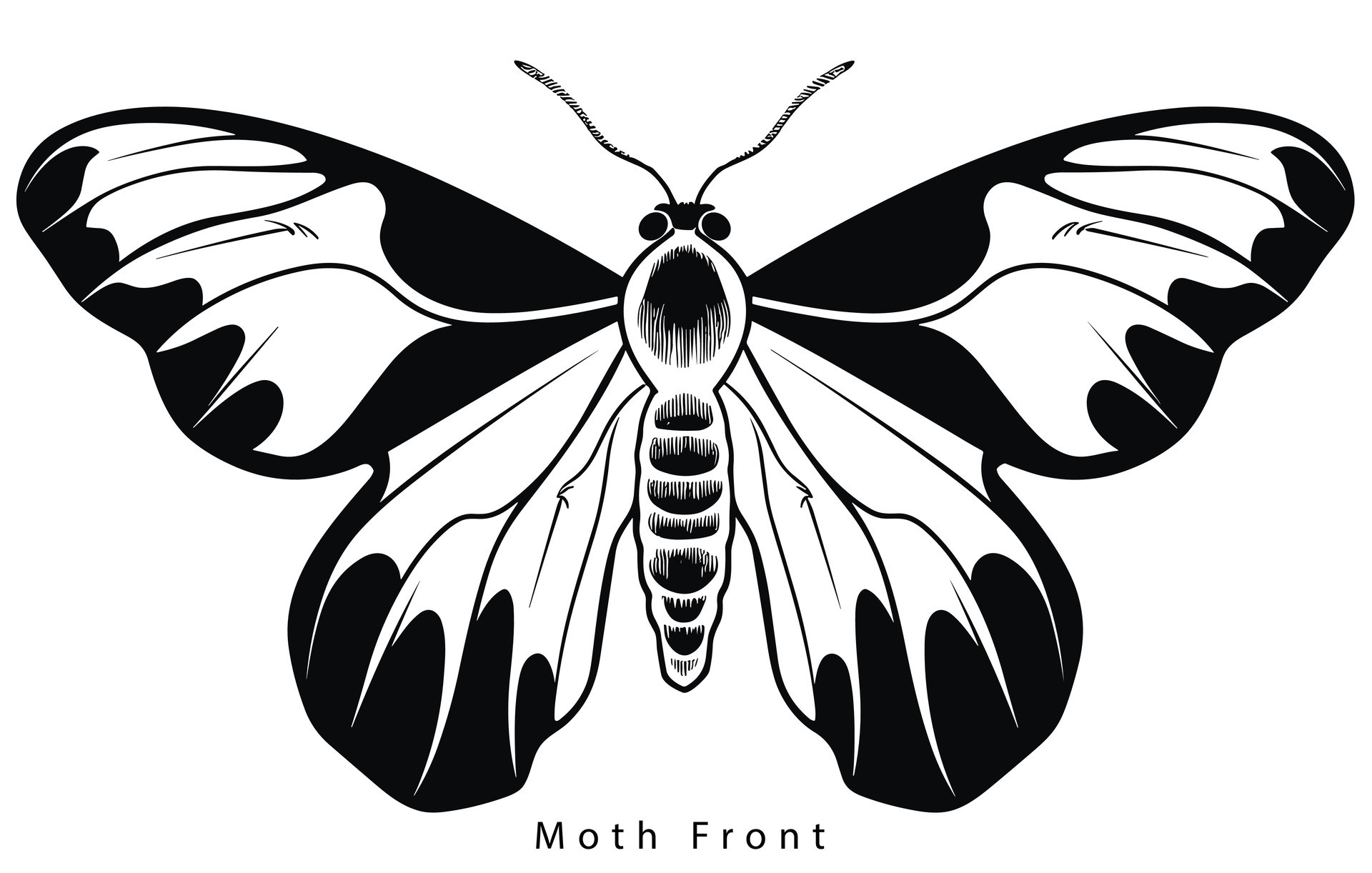 Monarch Butterfly Silhouette Vector Illustration 35162828 Vector Art