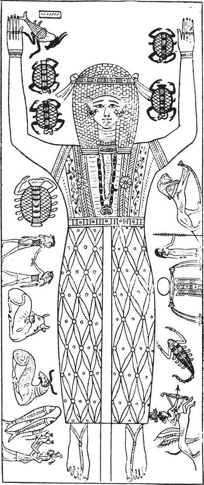 Sarcophagus Painting, vintage engraving. 35164996 Vector Art at Vecteezy