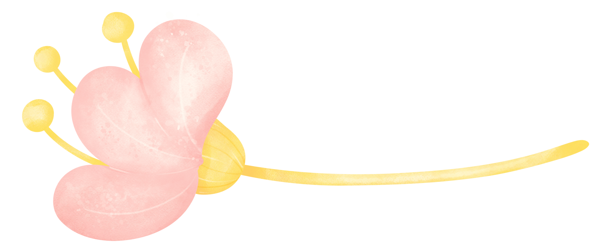linda rosado flor con vástago dibujos animados 35174268 PNG linda rosado flor con vástago dibujos animados 35174268 PNG