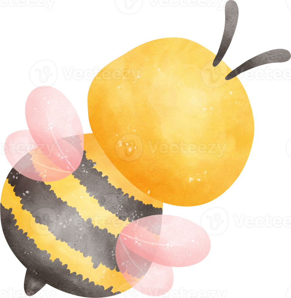 Cute Honey Bee 35174272 Png