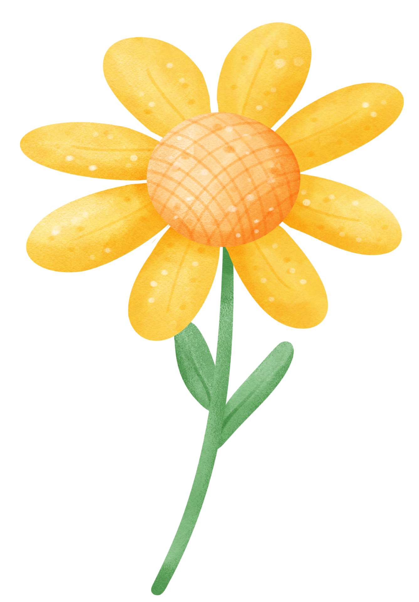 linda blanco flor con vástago dibujos animados 35174273 PNG linda blanco flor con vástago dibujos animados 35174273 PNG