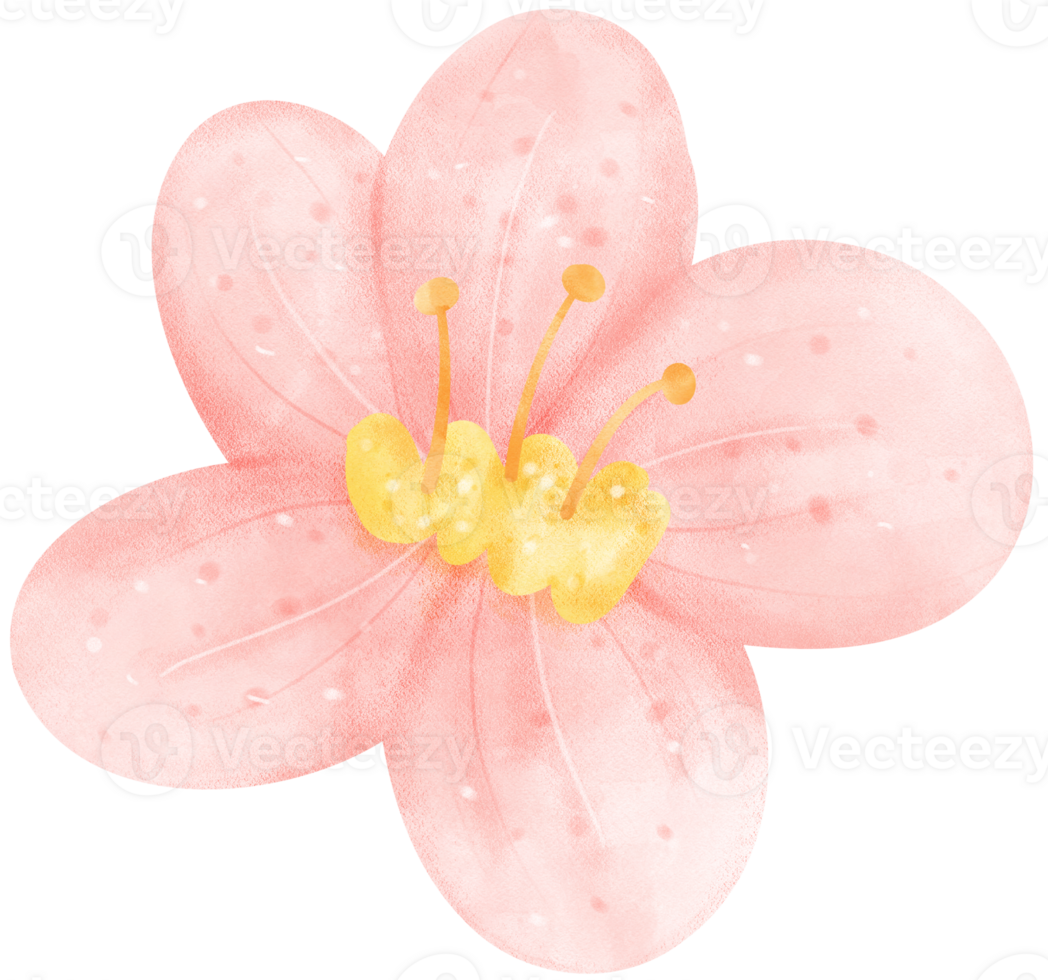 cute Pink flower cartoon watercolor 35174288 PNG