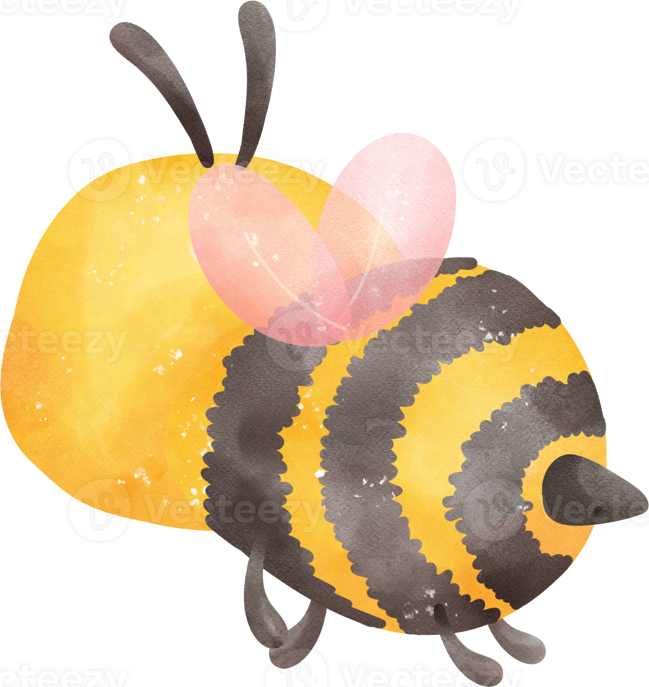 Cute Honey bee watercolor 35174352 PNG