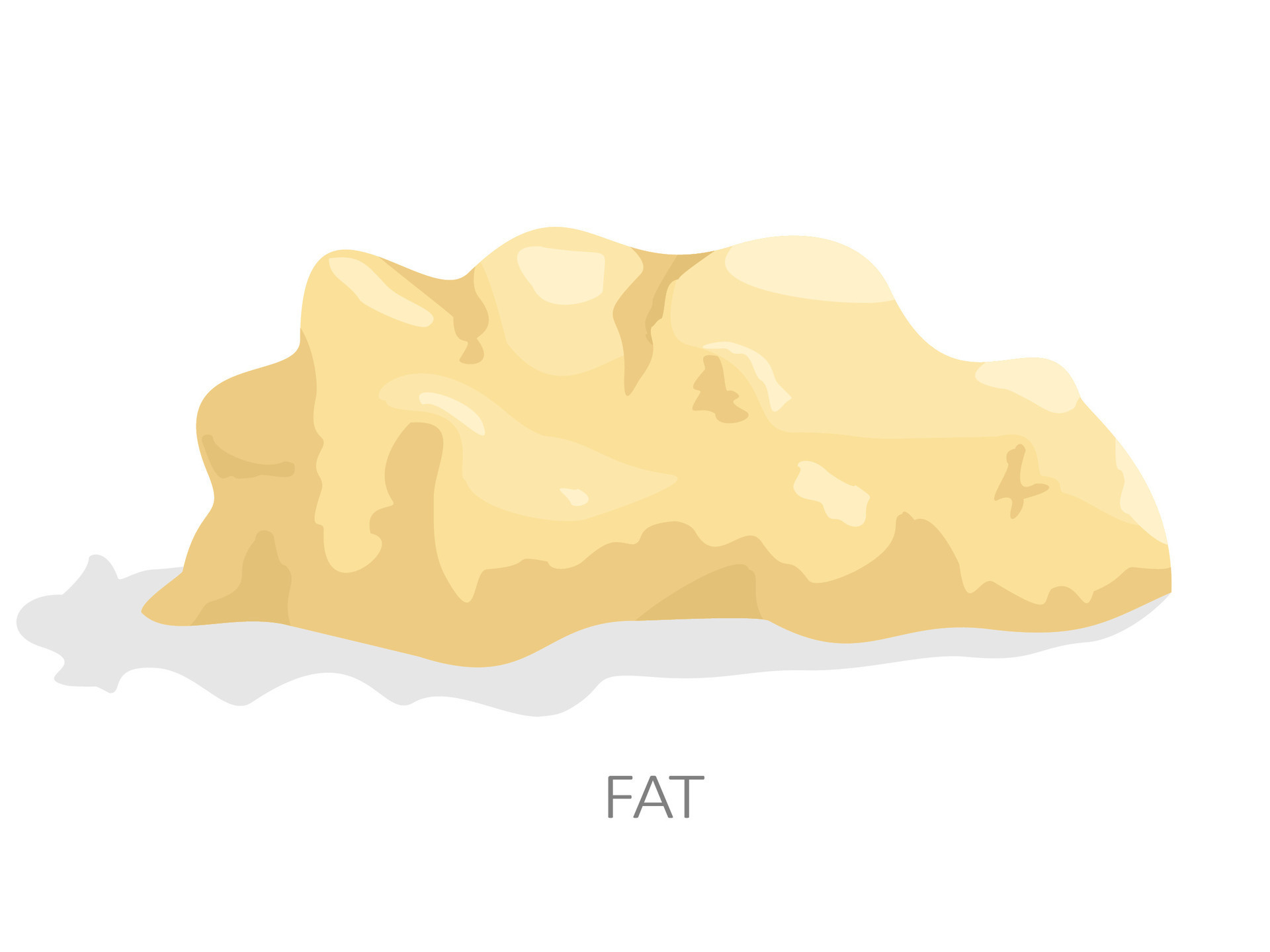 White Fat Tissue Isolated On White Background Adipose Tissue Has Role Of Storing Lipid Droplets