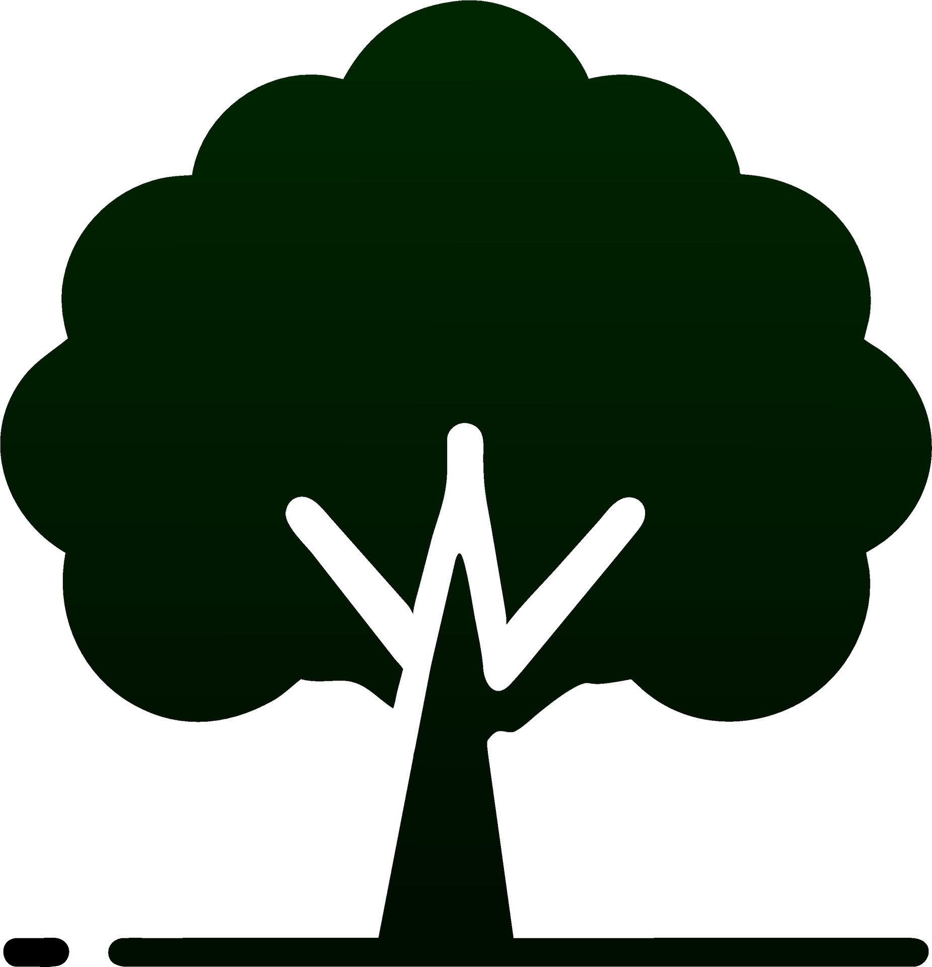 a tree vector 35259827 Vector Art at Vecteezy