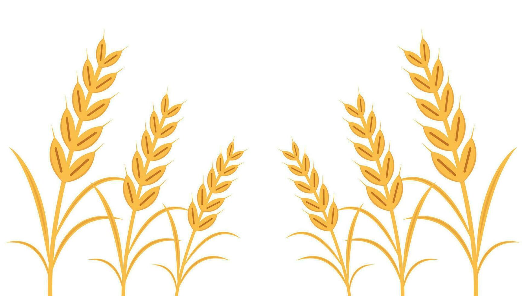 Rice Symbol Wheat Symbol Vector Wallpaper Logo Design Paddy Vector 35287248 Vector Art At
