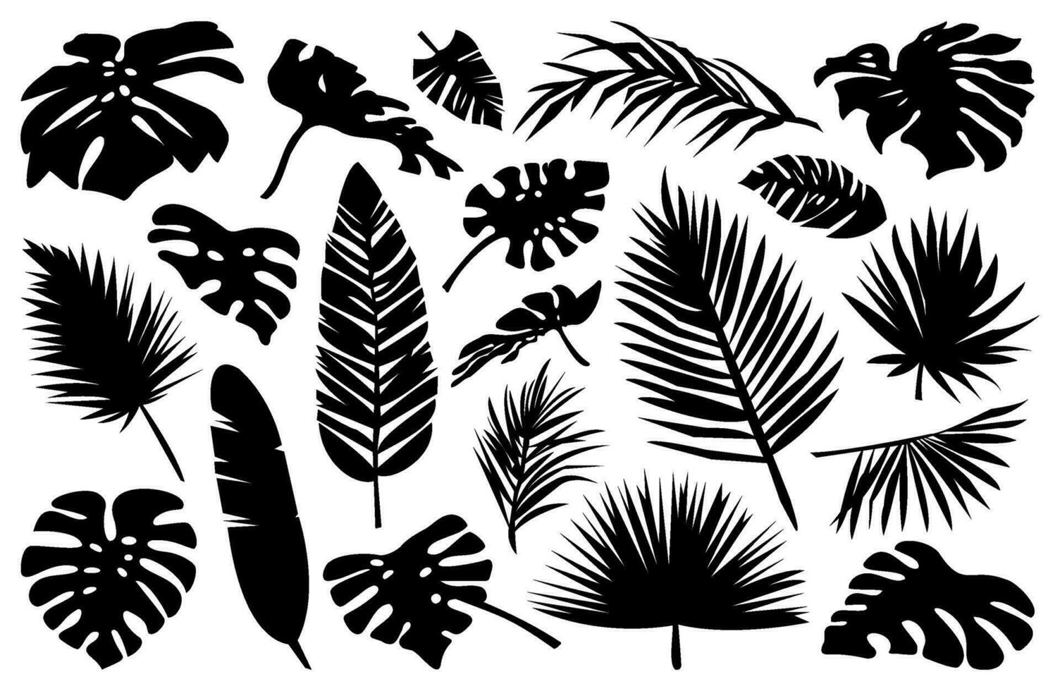 Silhouette rainforest palm leaves set. 35319531 Vector Art at Vecteezy Silhouette rainforest palm leaves set. 35319531 Vector Art at Vecteezy
