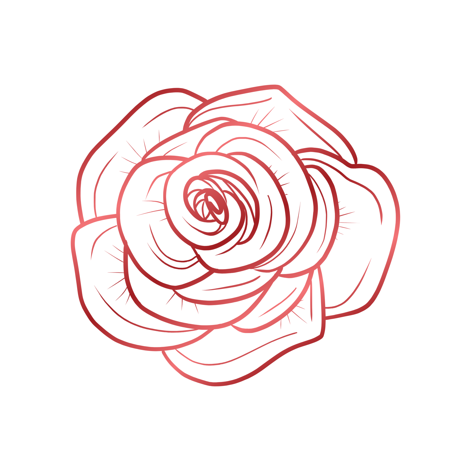Red Gradient Rose Line Art 35320281 Png