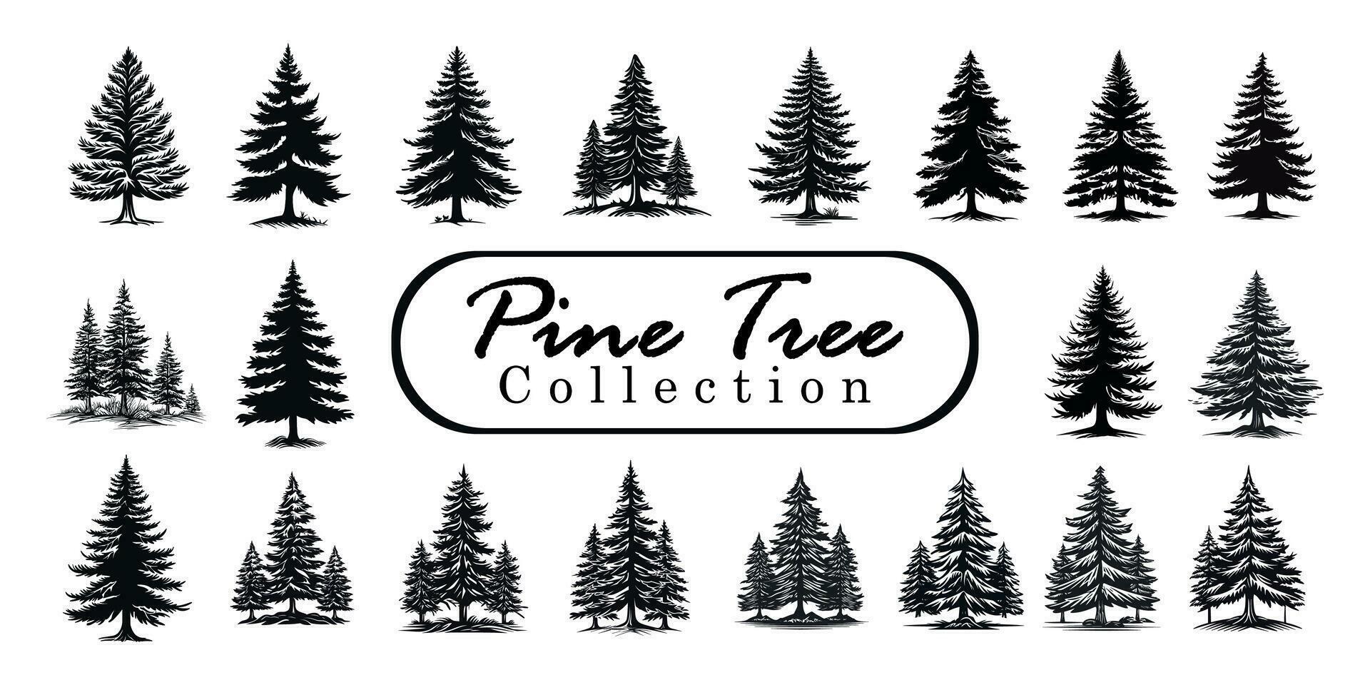 Pine trees silhouettes or fir trees collection set. Vintage Set of ...