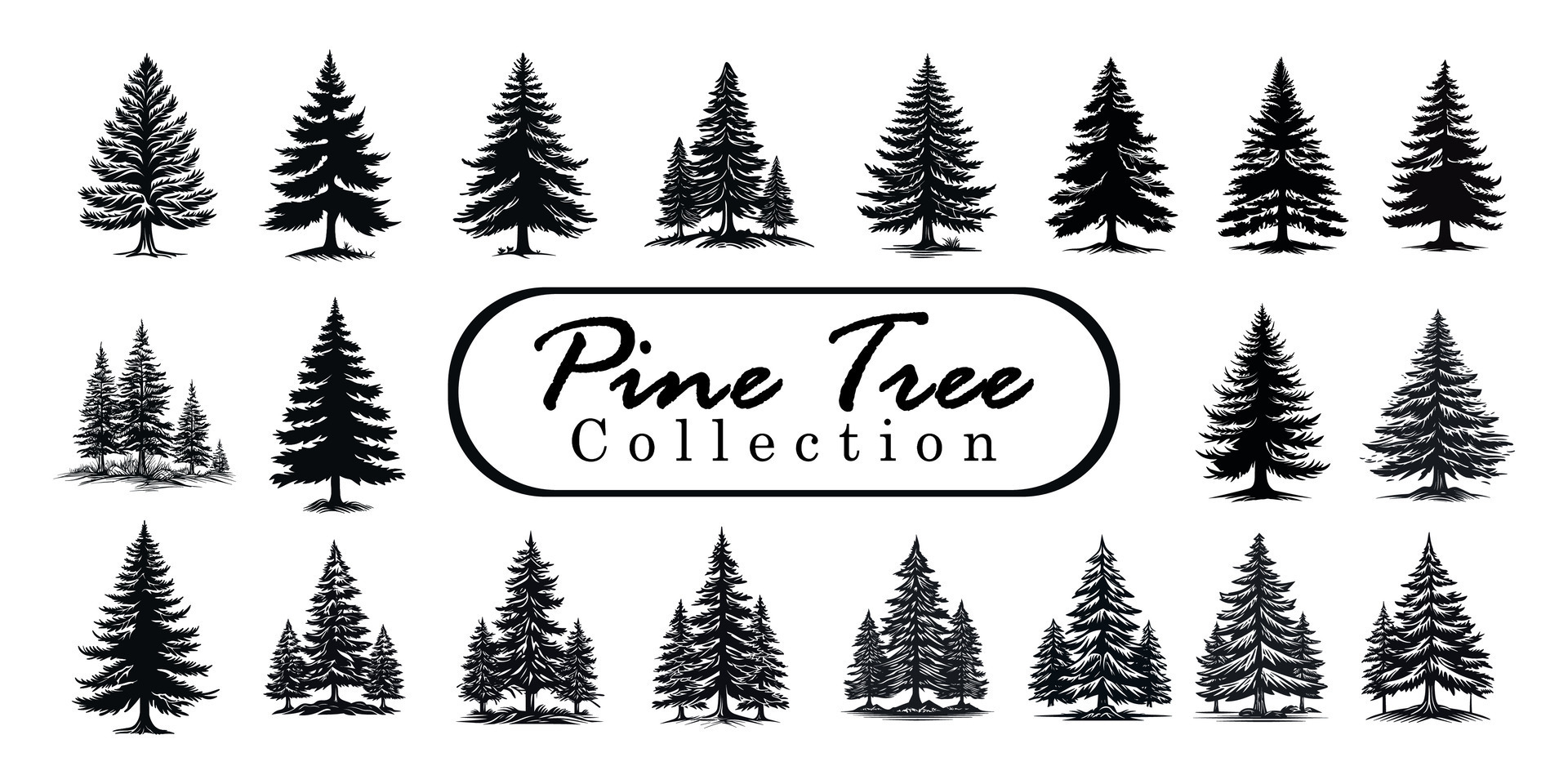Pine trees silhouettes or fir trees collection set. Vintage Set of ...