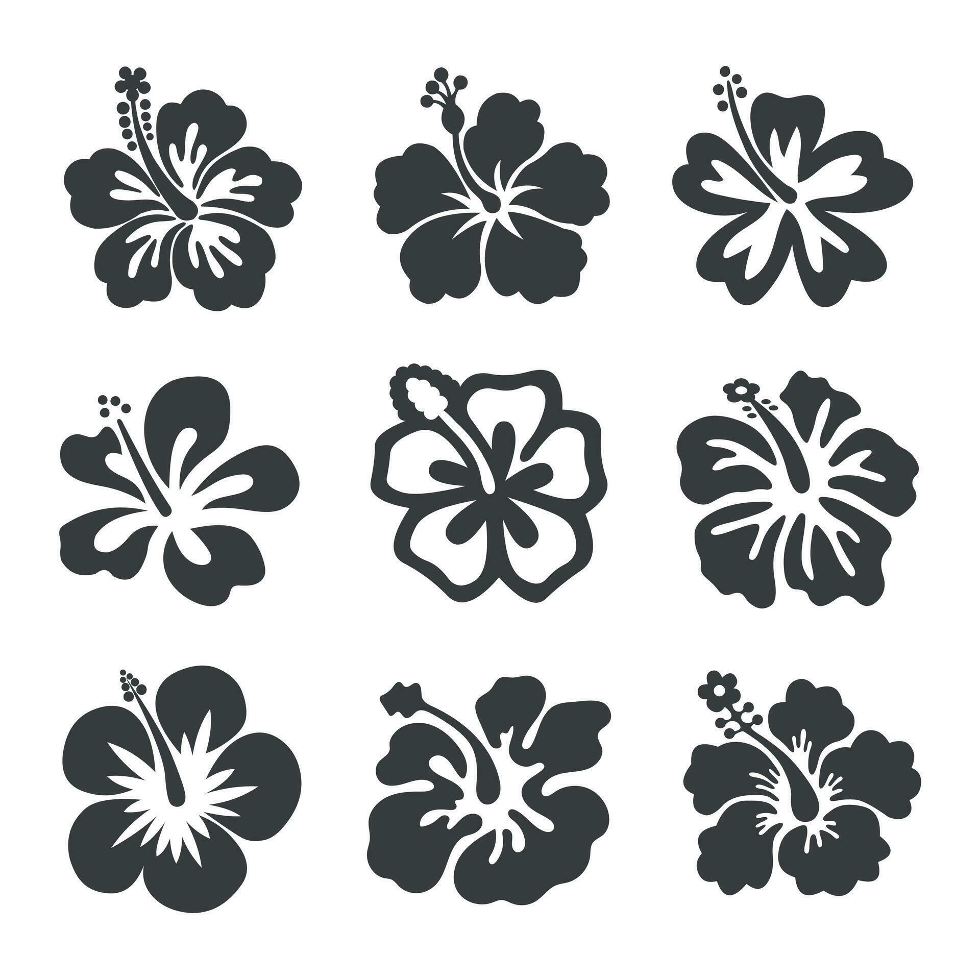 Set Of Tropical Hibiscus Flower Silhouette Illustrations 35370941