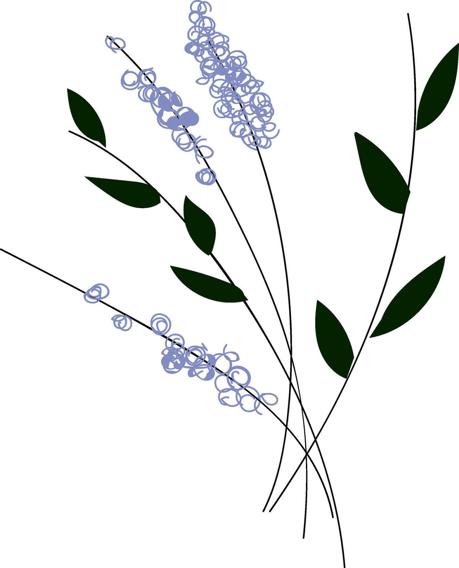Simple vector illustration of violet flowers with black leaves on black ...