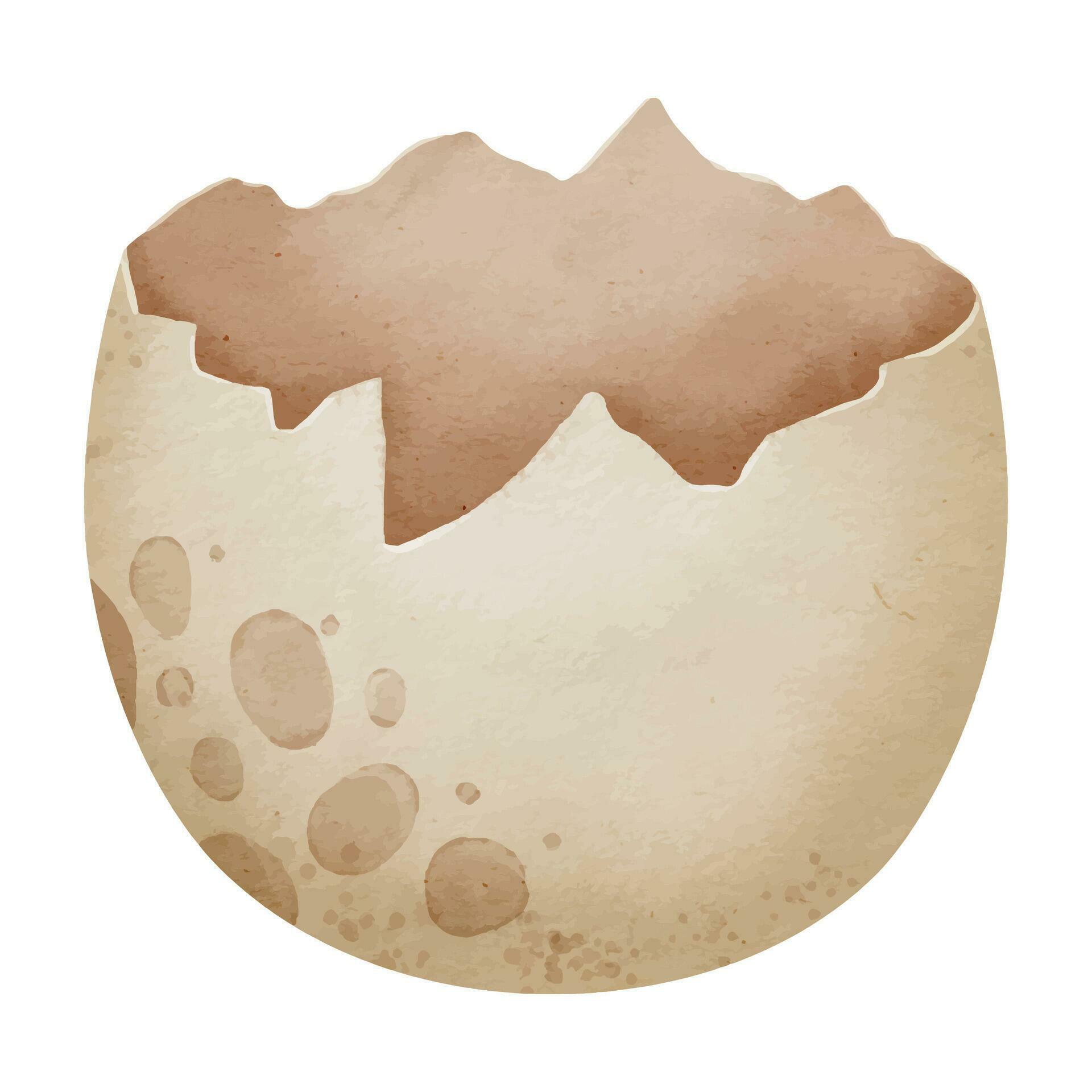 Broken dinosaur Egg Watercolor illustration. Hand drawn of open ...