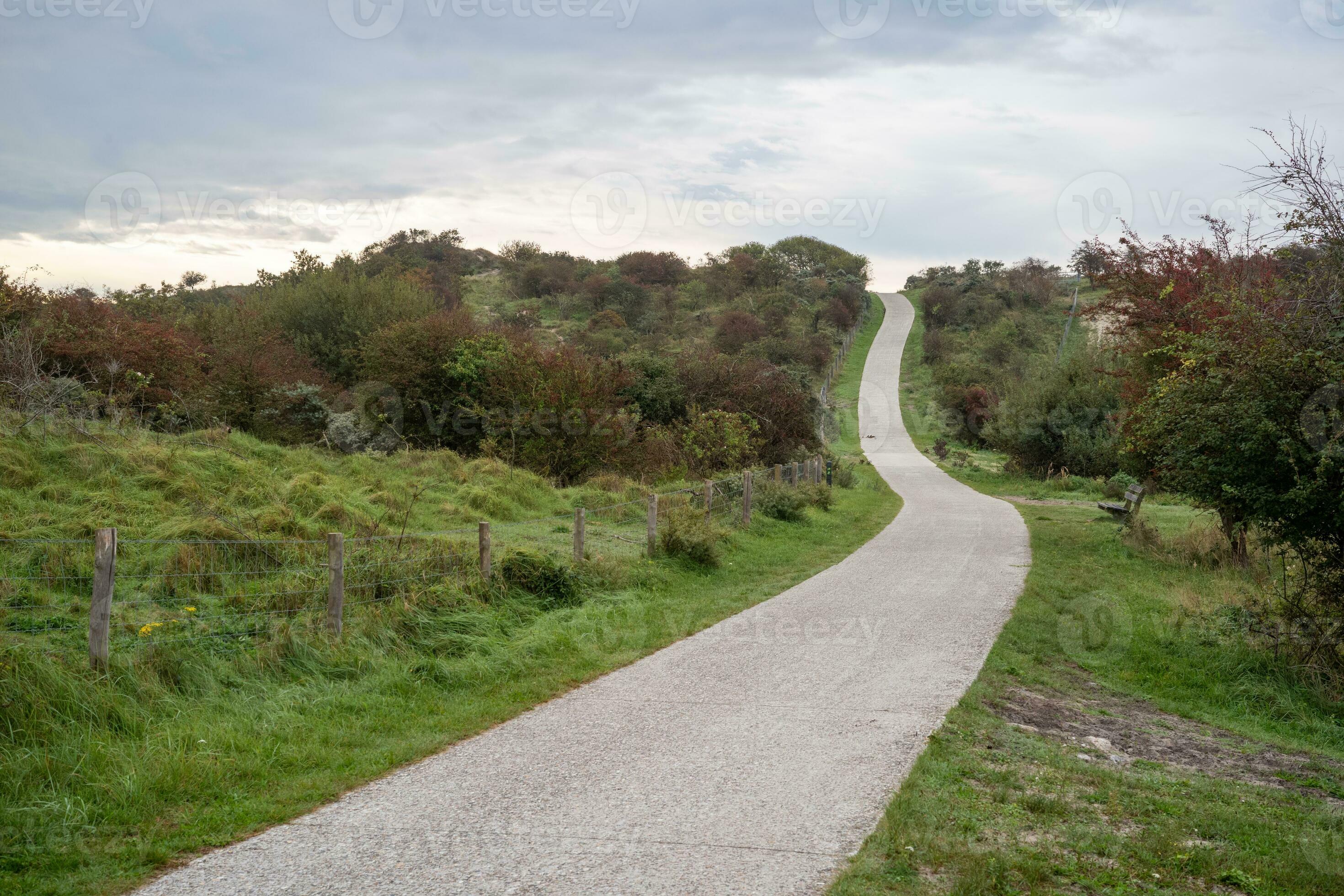 path in the dunes 35431572 Stock Photo at Vecteezy