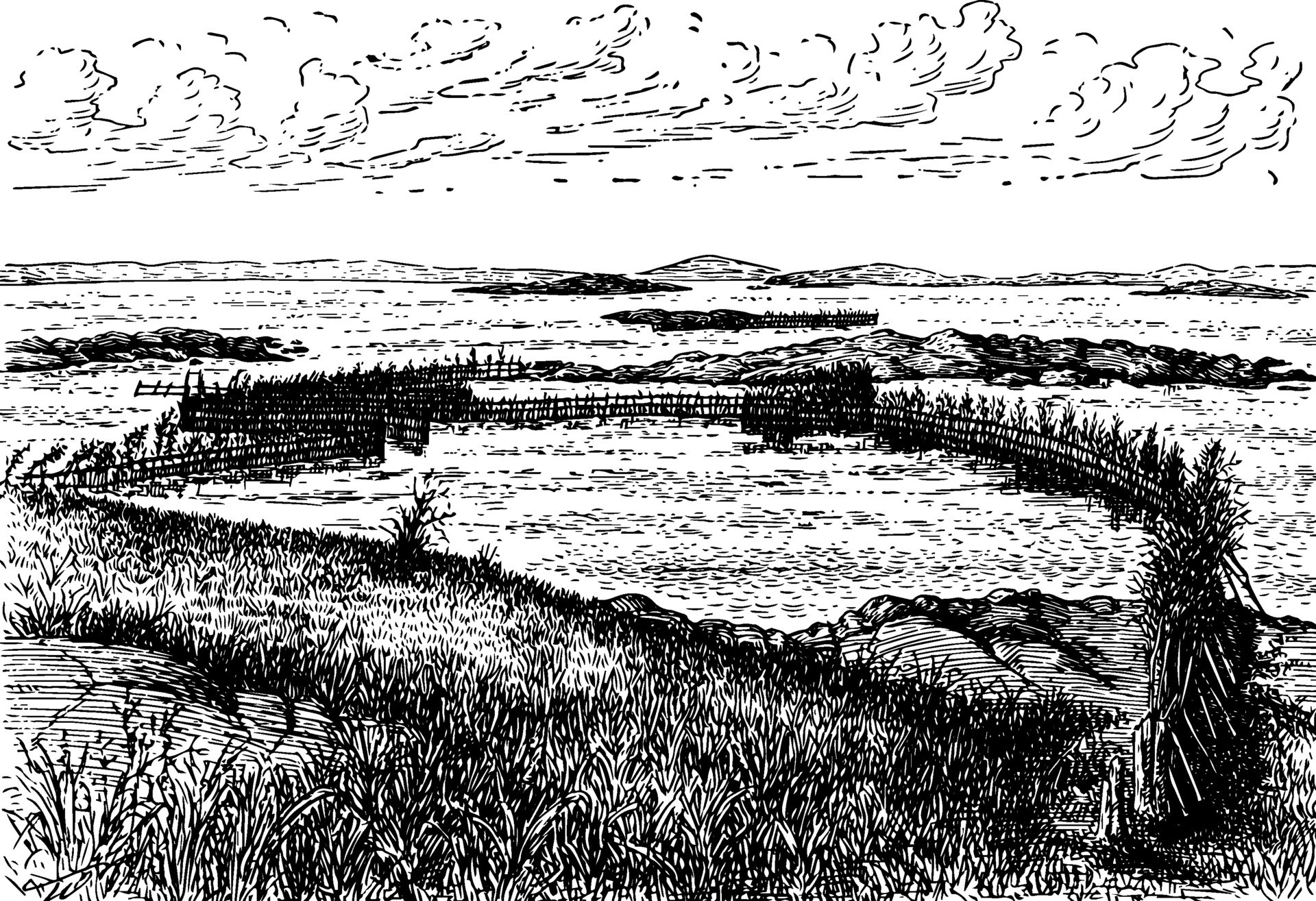 Herring Weir, vintage illustration. 35457518 Vector Art at Vecteezy Herring Weir, vintage illustration. 35457518 Vector Art at Vecteezy