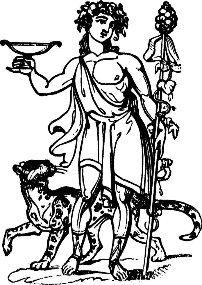 Bacchus Vintage Illustration 35462481 Vector Art At Vecteezy