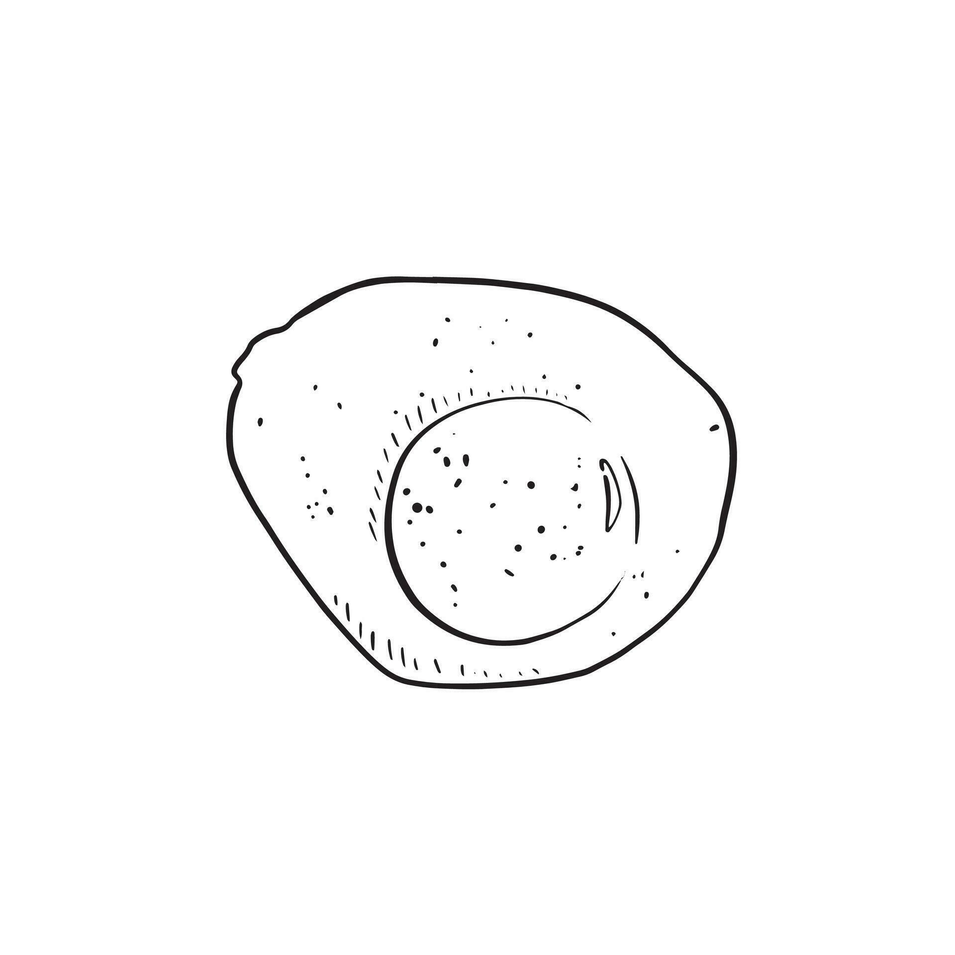 A Line Drawn Vector Illustration Of A Poached Egg Black And White Hand Drawn Illustration Of A