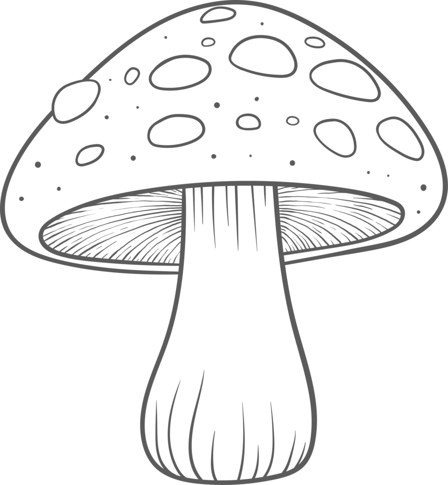 AI generated Mushroom clipart design illustration 35511977 PNG AI generated Mushroom clipart design illustration 35511977 PNG