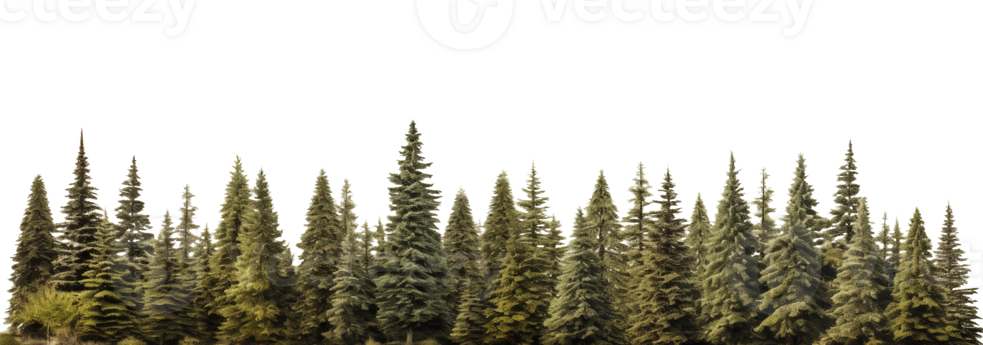 AI generated Green evergreen fir pine spruce trees treeline isolated on transparent background ...