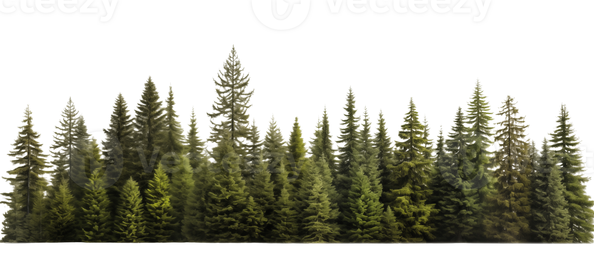 AI generated Green evergreen fir pine spruce trees treeline isolated on transparent background ...