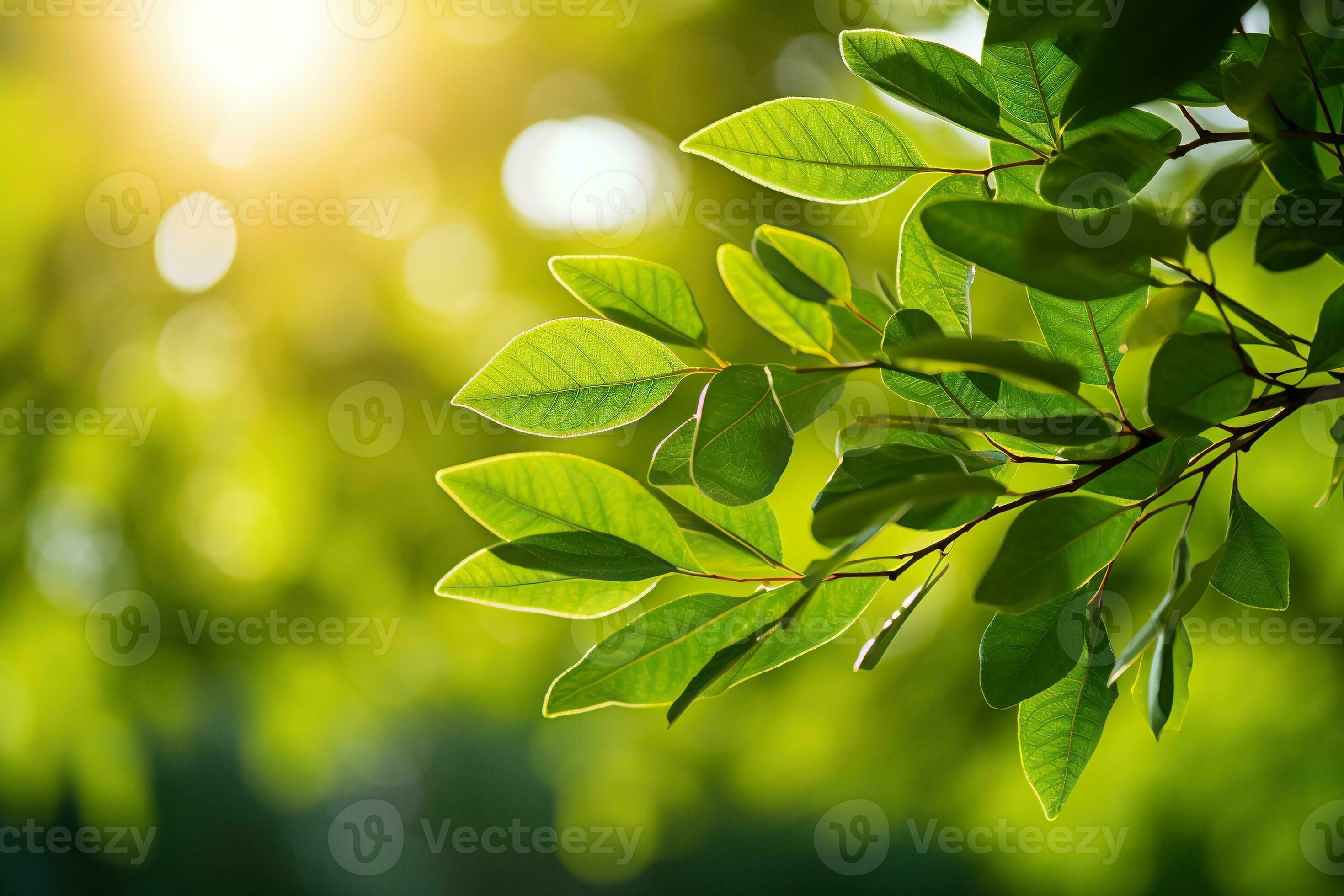 AI generated Green leaves in the rays of the sun. Spring, summer background with bokeh ...