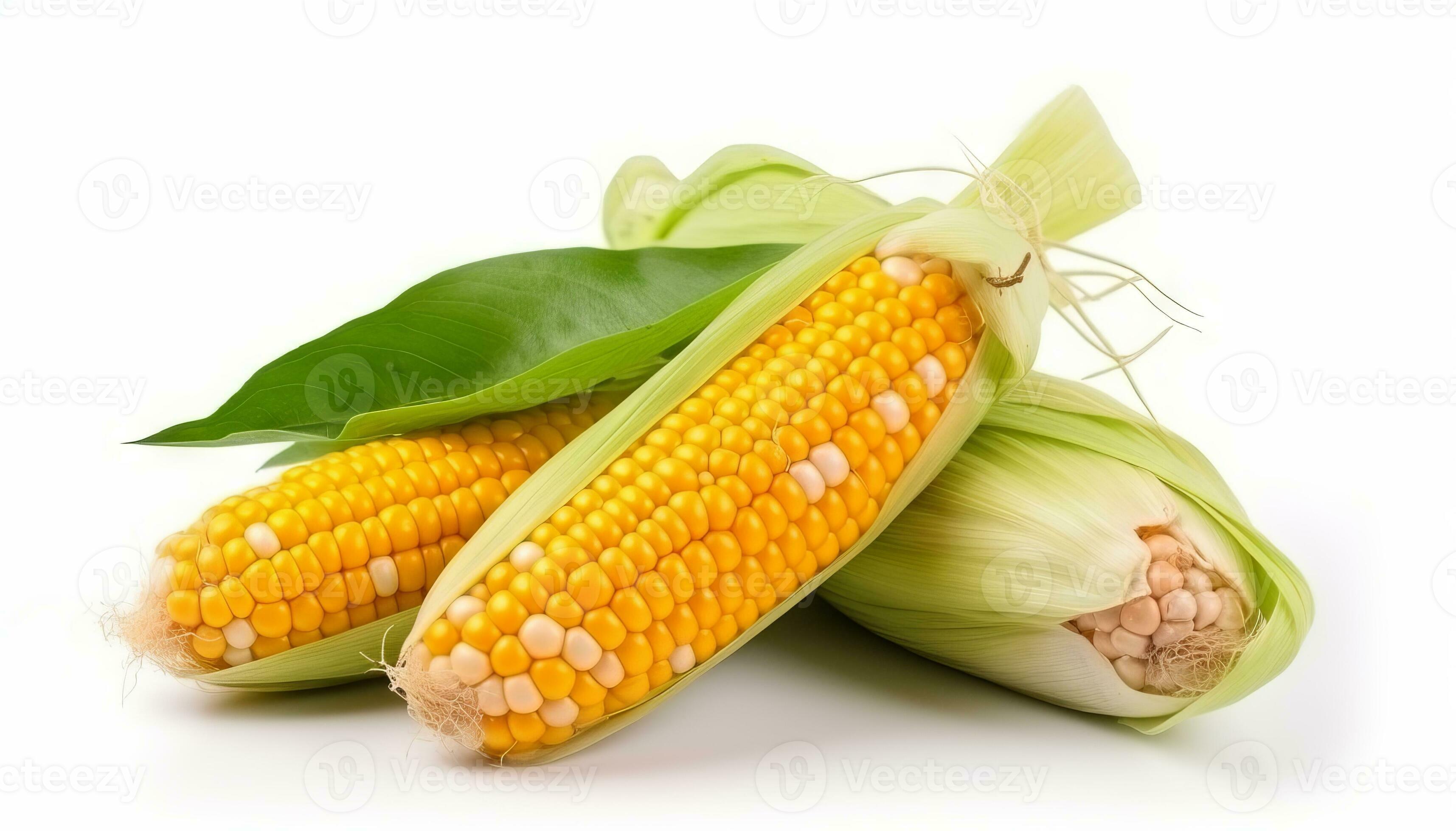 Ai Generated Fresh Corn Fruits With Green Leaves Isolated On White Background Generative Ai