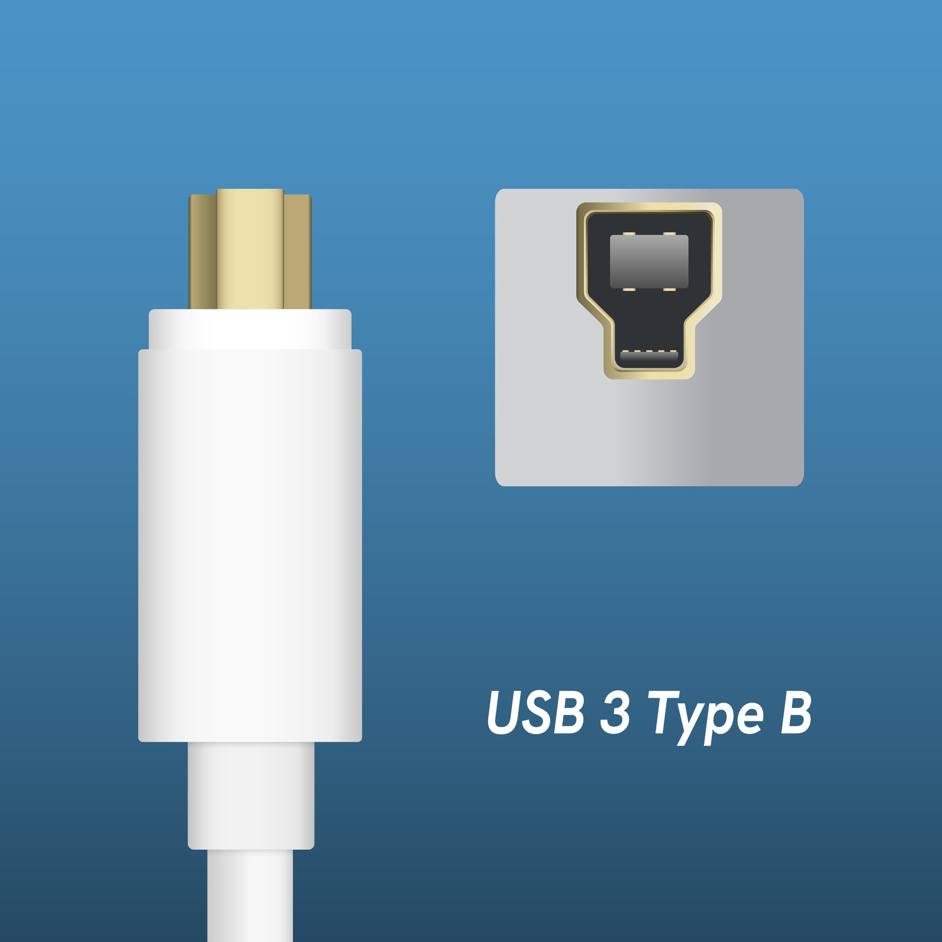 USB Type B Cable Plugs And Socket Isolated On Blue Background Eps Vector Vector