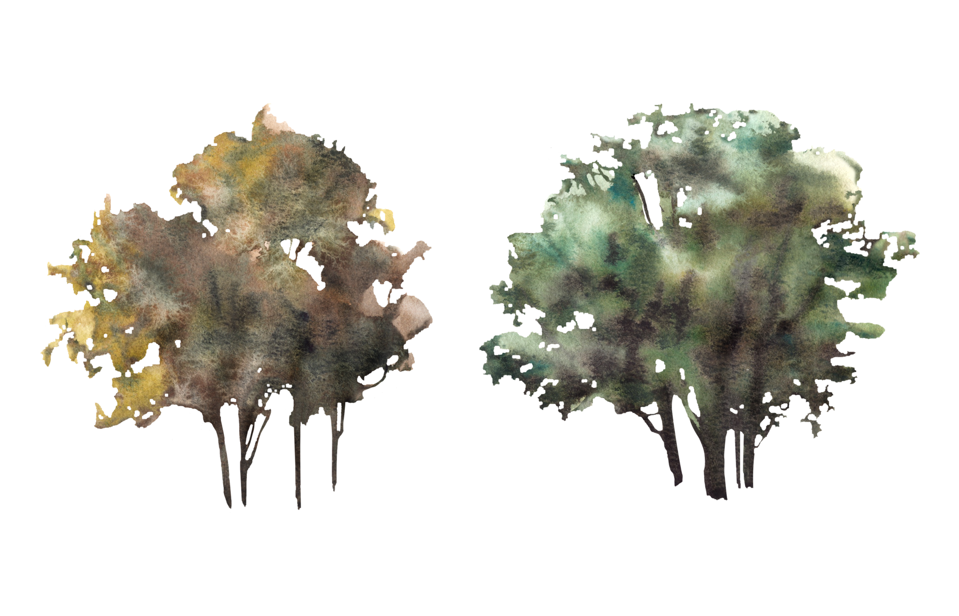 Deciduous trees or bushes watercolor hand painted illustration clipart ...