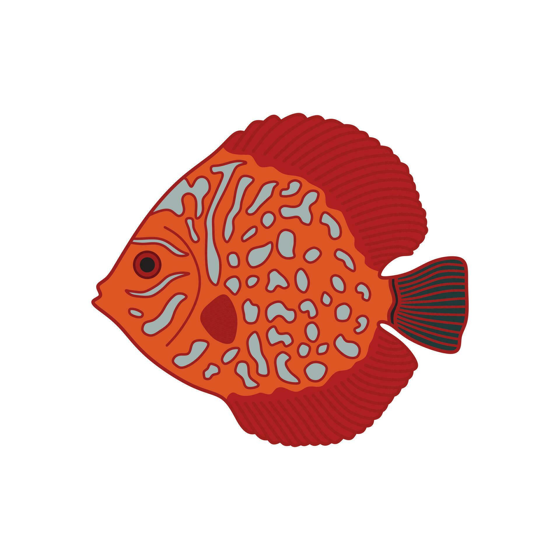 Cartoon Vector illustration discus fish icon Isolated on White ... Cartoon Vector illustration discus fish icon Isolated on White ...