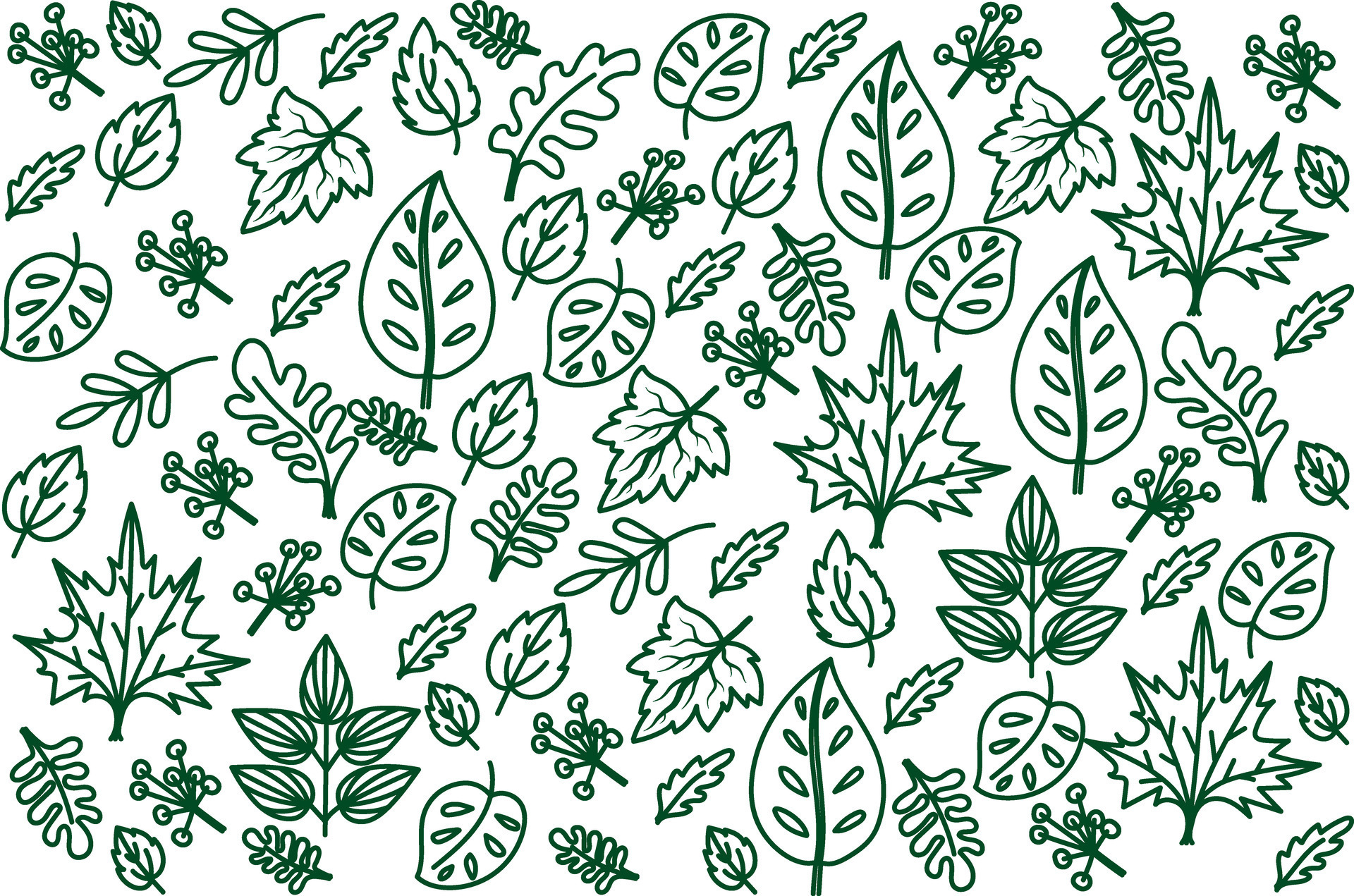 Abstract leaves line pattern background. 35620764 Vector Art at Vecteezy