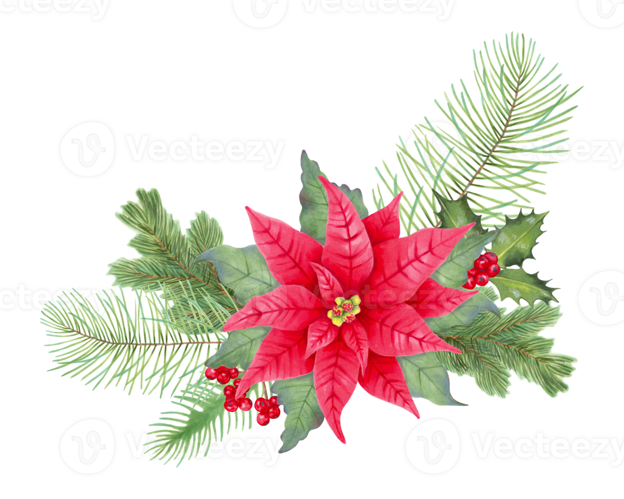 Christmas bouquet with poinsettia flower, holly berries, pine, spruce ...