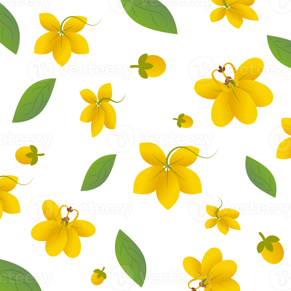 cassia fistula illustration 35630953 PNG