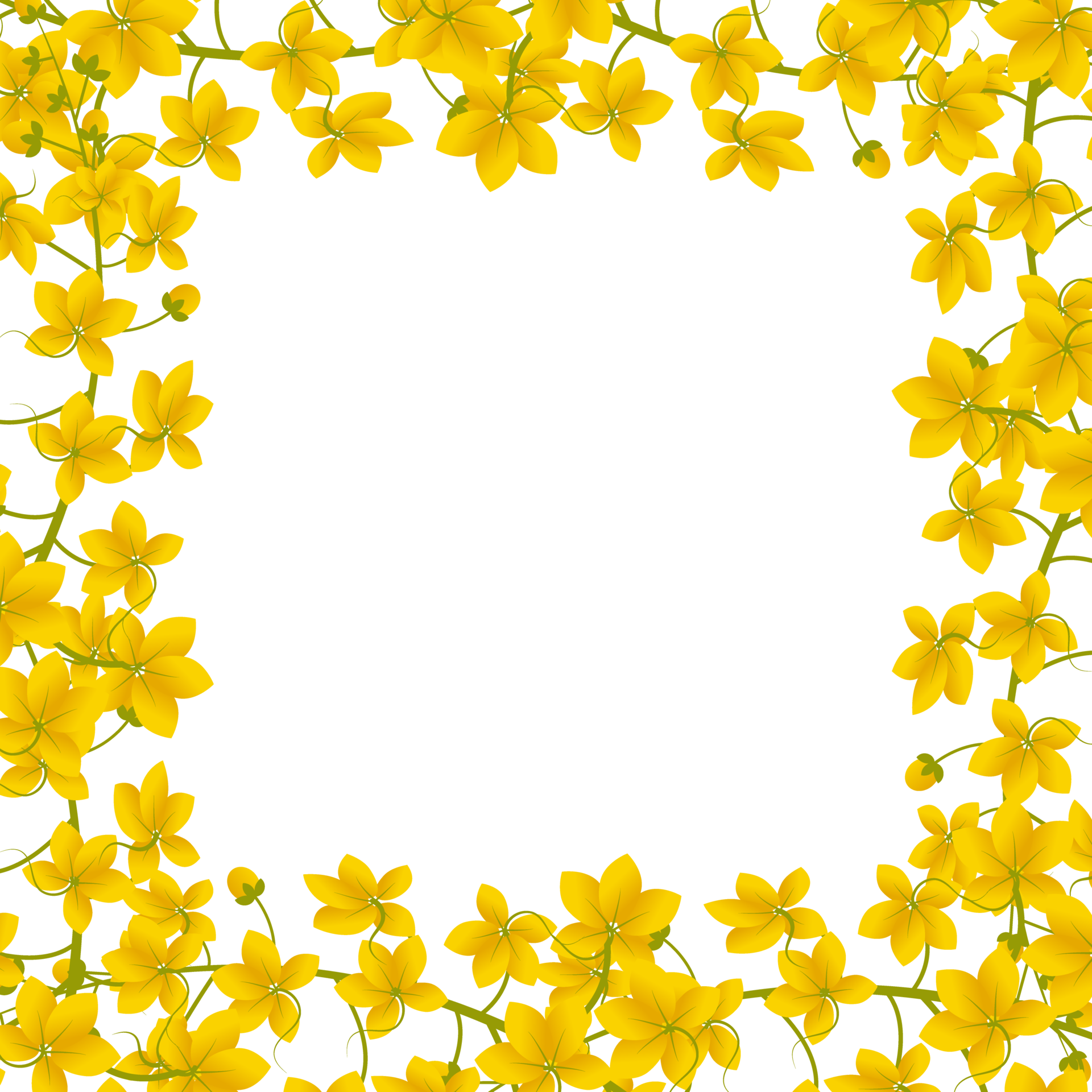 cassia fistula illustration 35630960 PNG