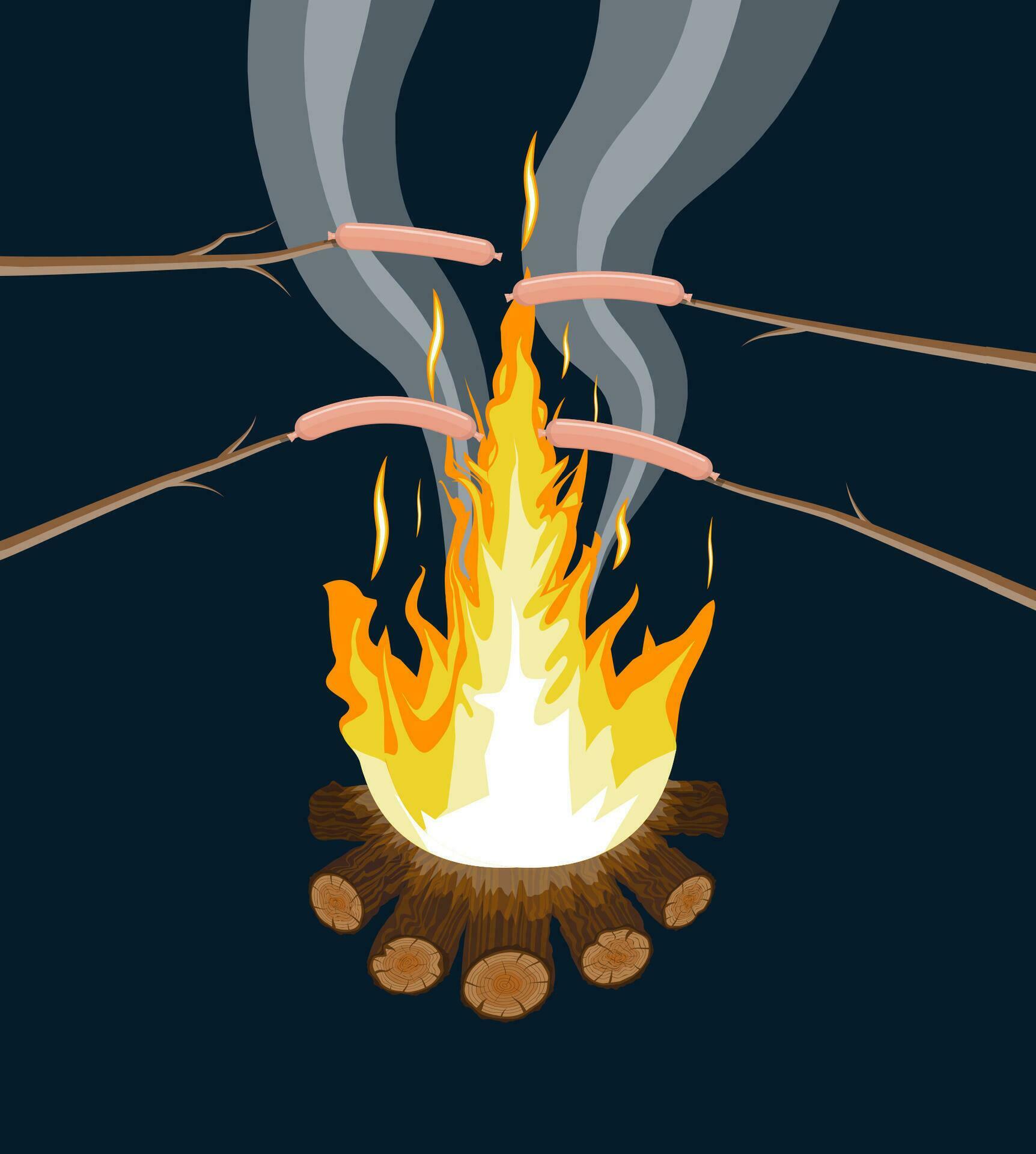 Bonfire With Grilled Sausages Logs And Fire Camping Burning Woodpile