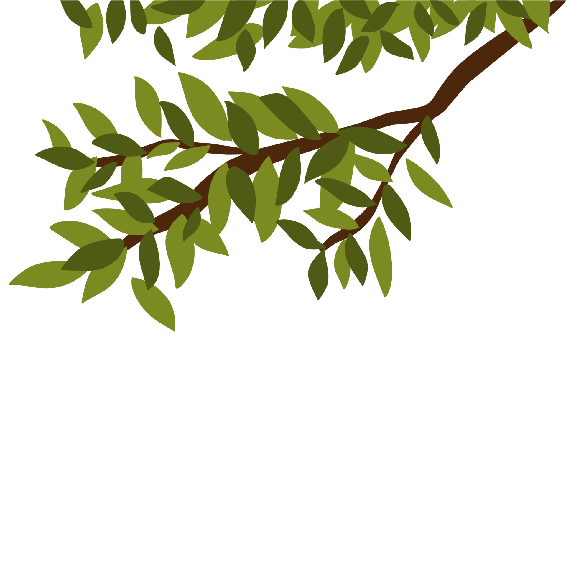 rama con hojas verdes 35641325 PNG