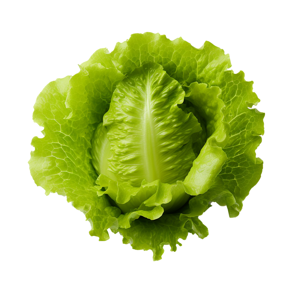 AI generated Green lettuce isolated on transparent background fresh lettuce png generative ai ...