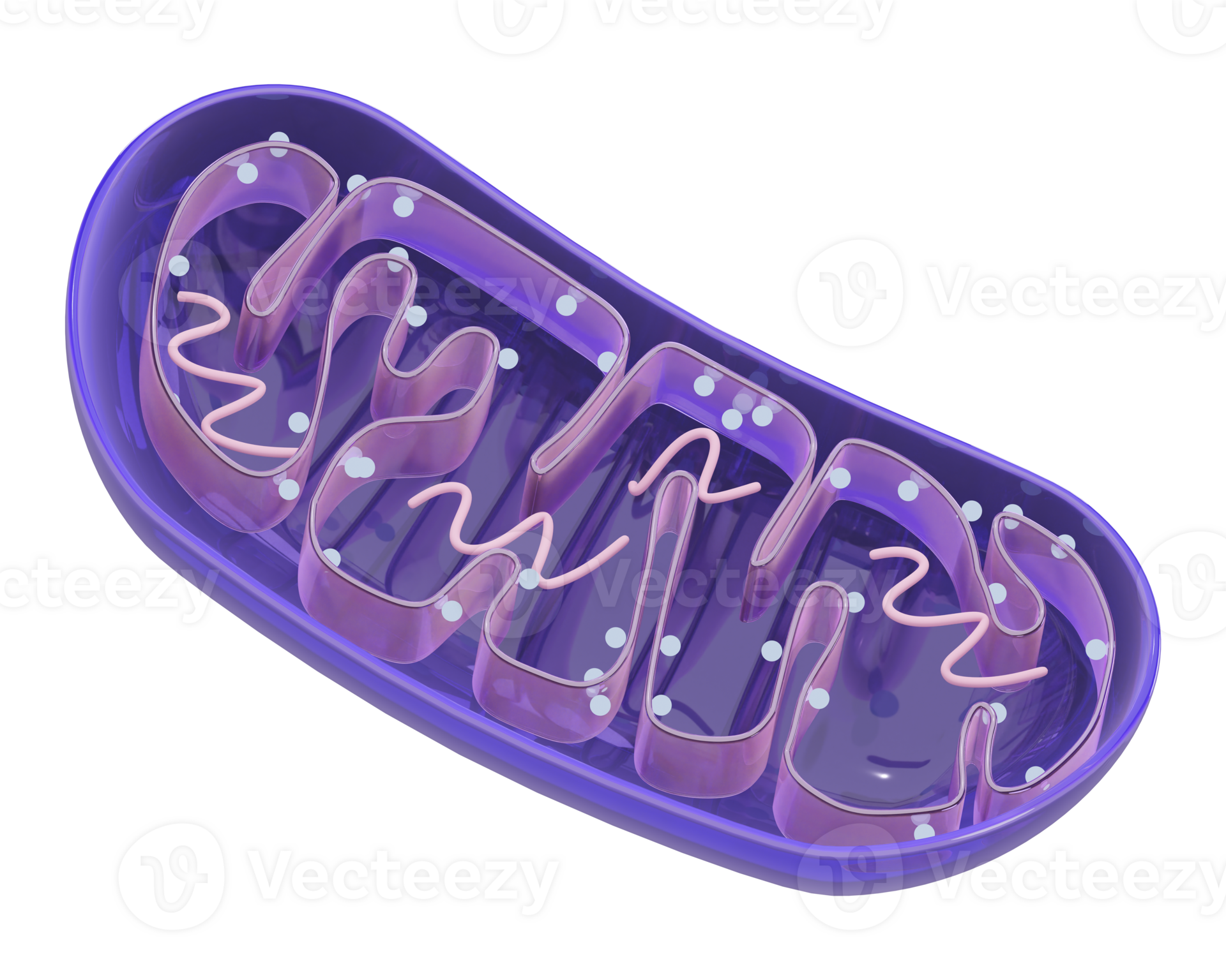3d rendered mitochondria icon isolated 35668107 PNG