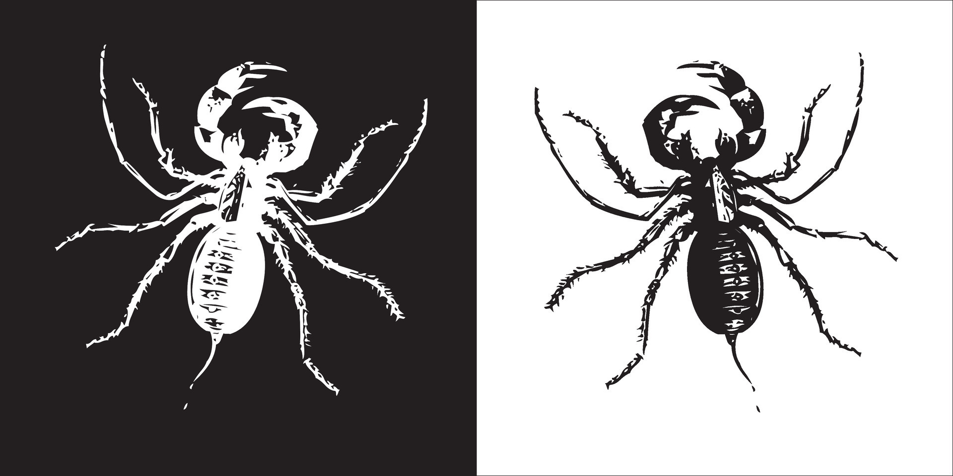 Illustration vector graphics of spider icon 35685338 Vector Art at Vecteezy