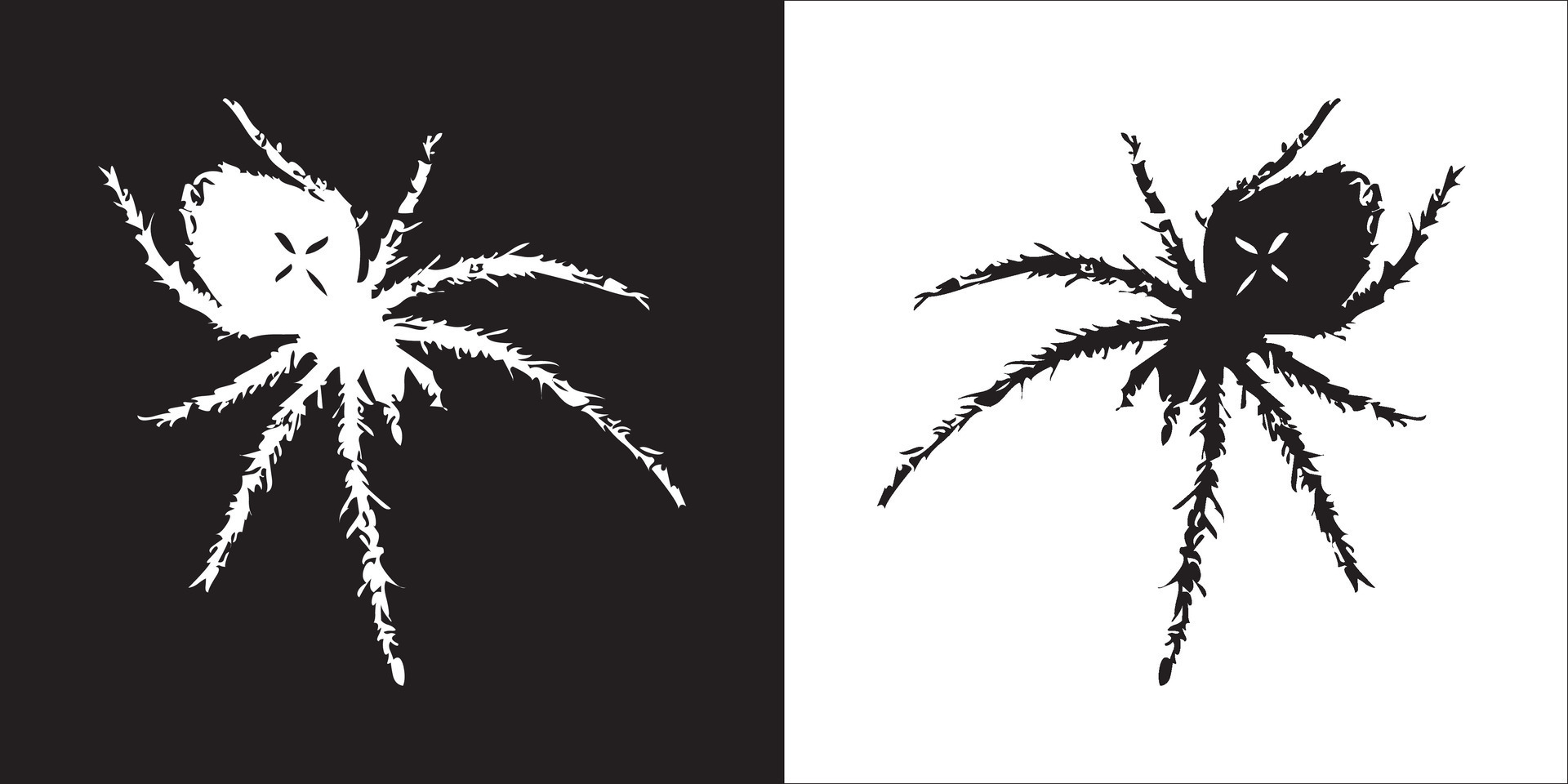 Illustration vector graphics of spider icon 35685345 Vector Art at Vecteezy