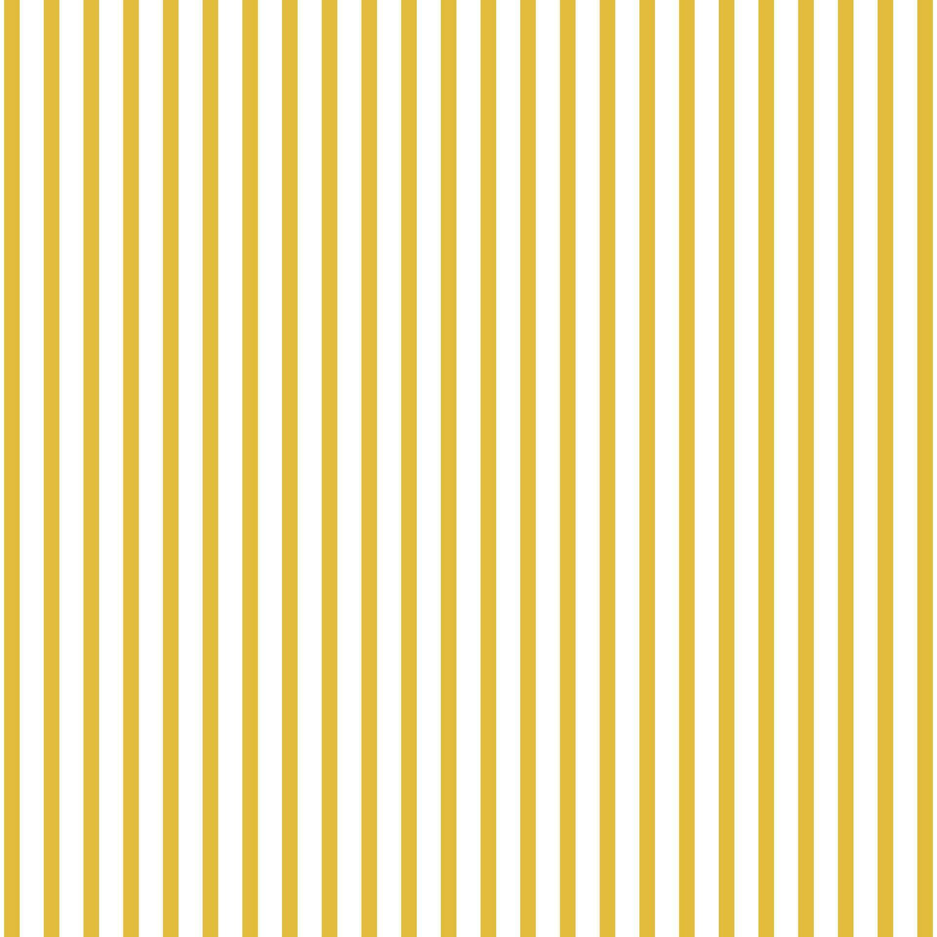 Modern Simple Abstract White Color Vertical Line Pattern Art 35702251