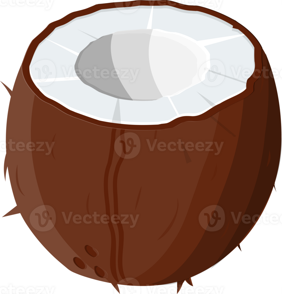Ripe coconuts and half coconut on white 35775148 PNG Ripe coconuts and half coconut on white 35775148 PNG