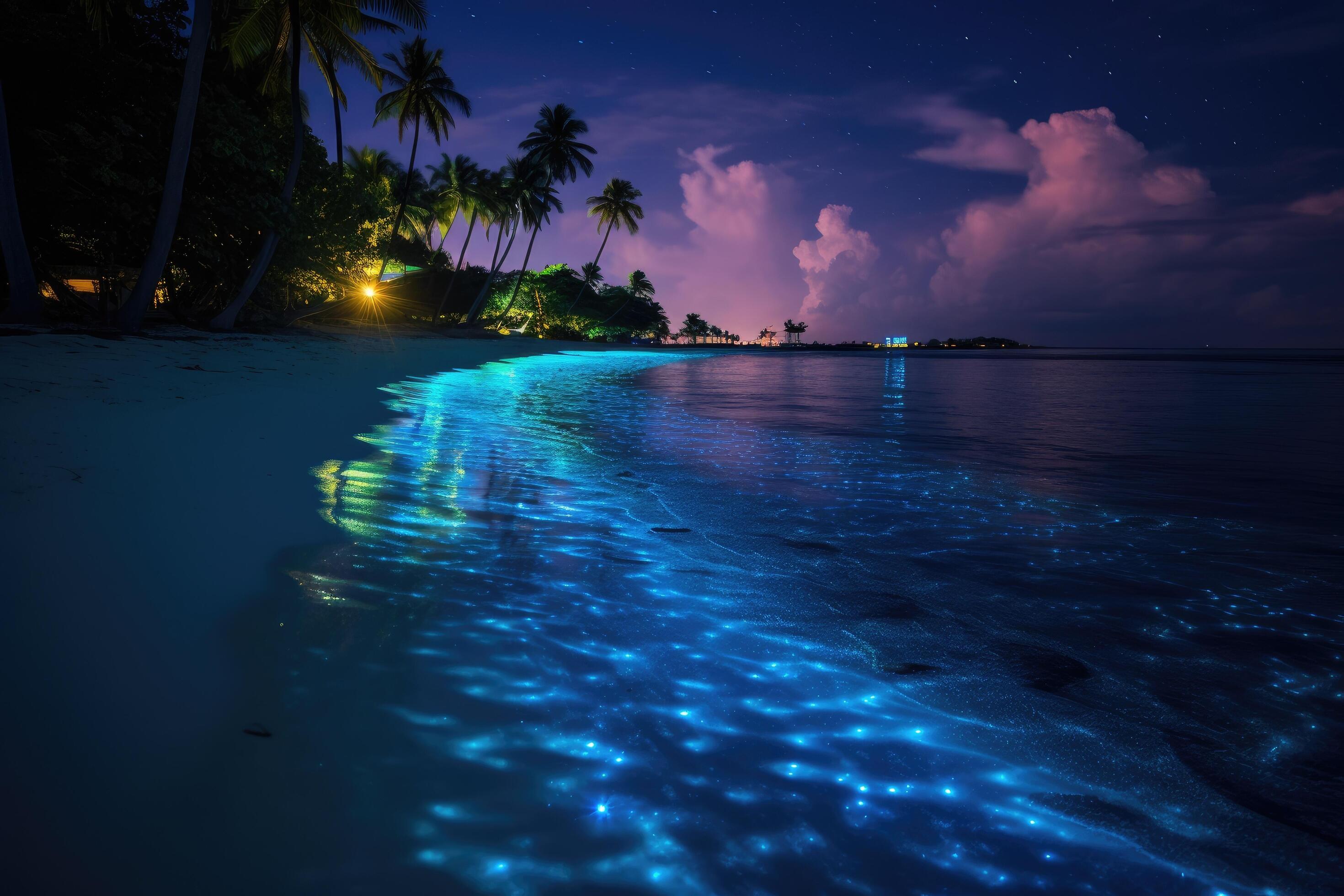 AI generated Beautiful night view of a tropical beach in the Maldives, Bioluminescence, Night ...