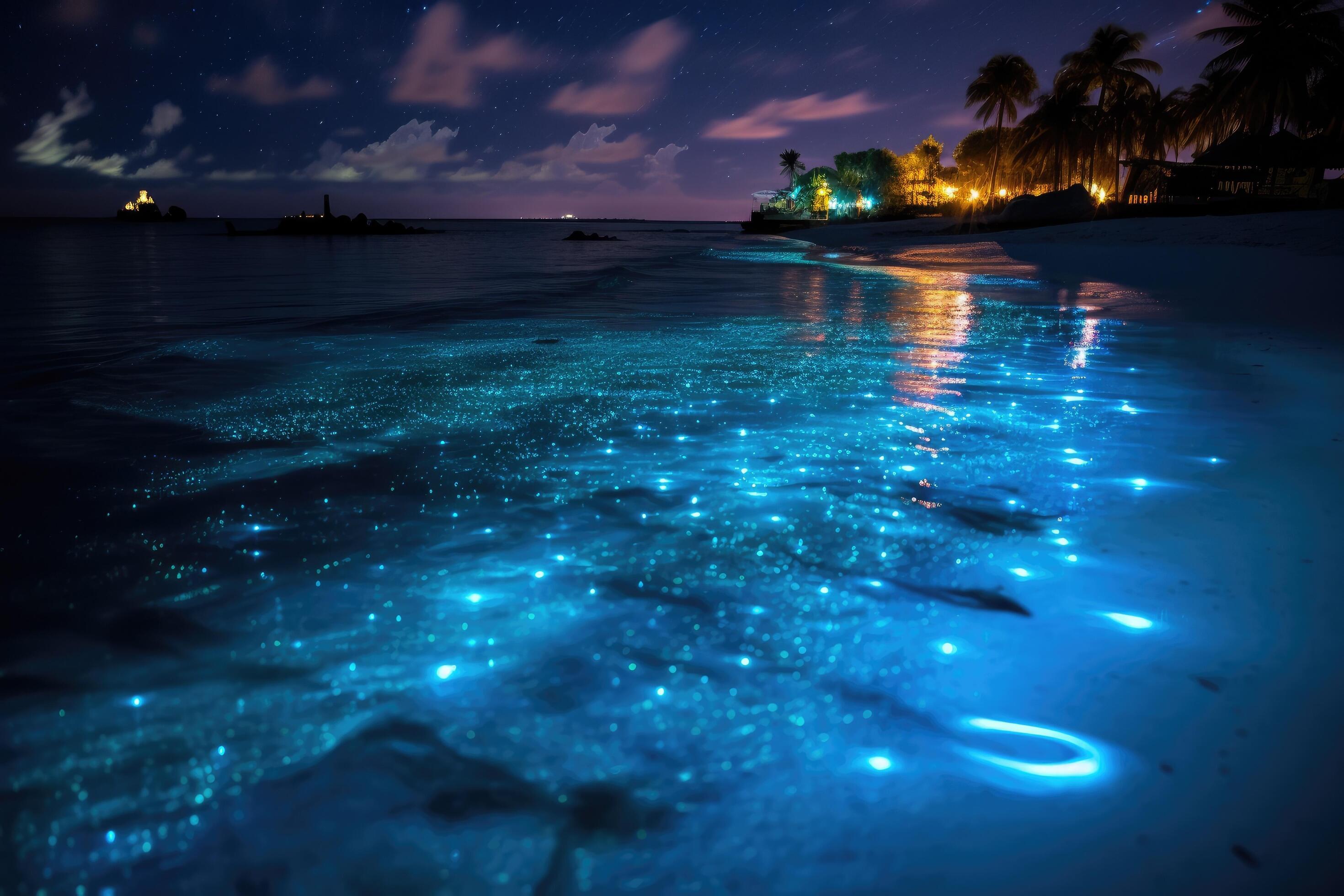 AI generated Beautiful view of the beach at night with starry sky, Bioluminescence, Night beach ...