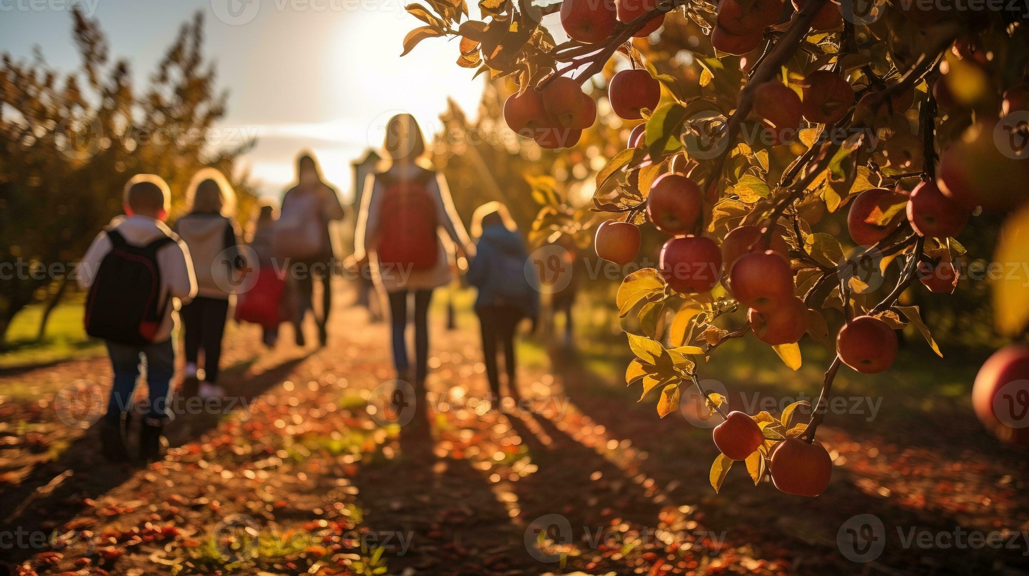 AI generated A bustling autumn apple orchard, families picking fresh apples. Generative AI ...