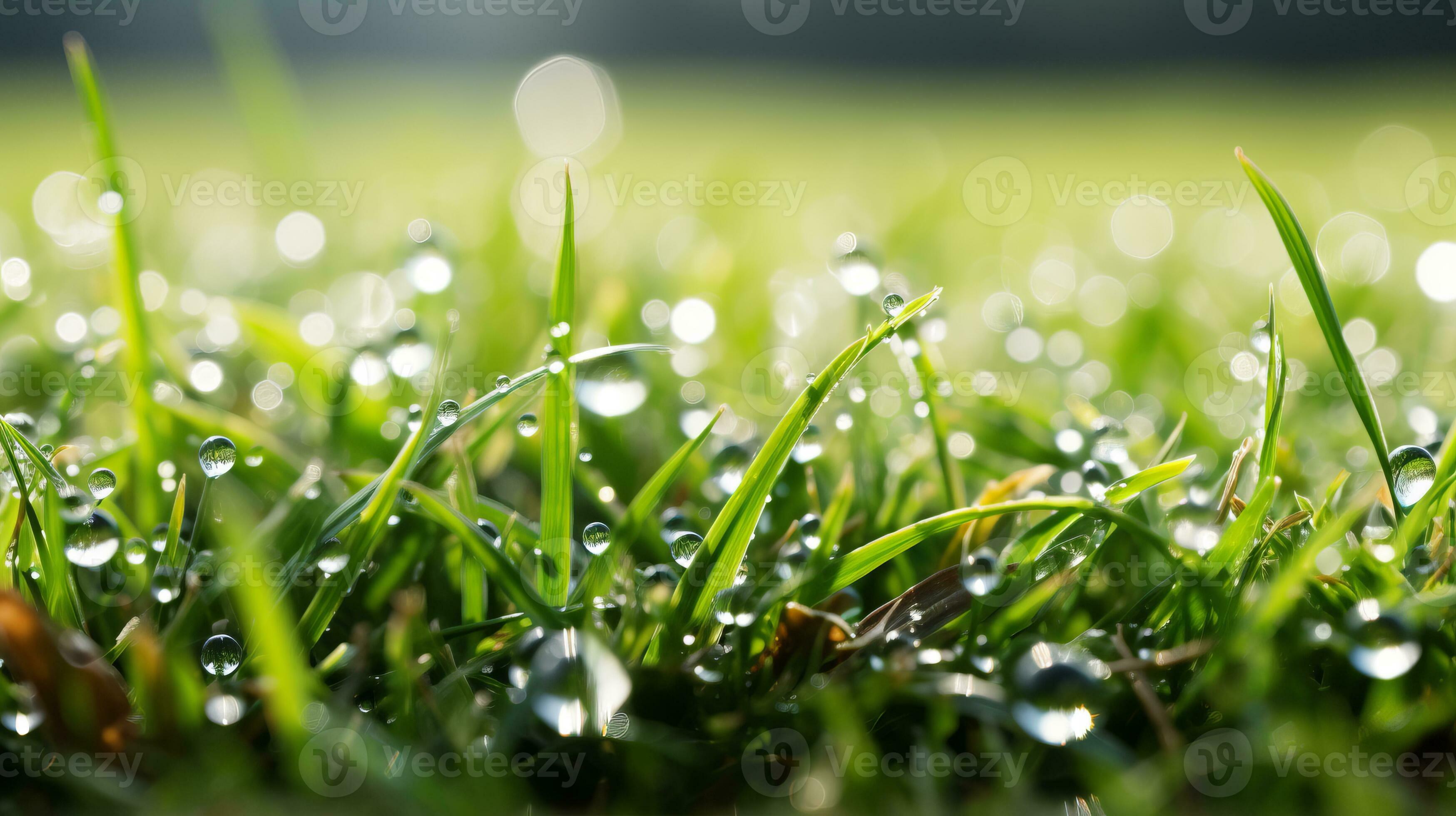 AI generated Dreamy bokeh background with blurred natural green grass and sparkling water ...